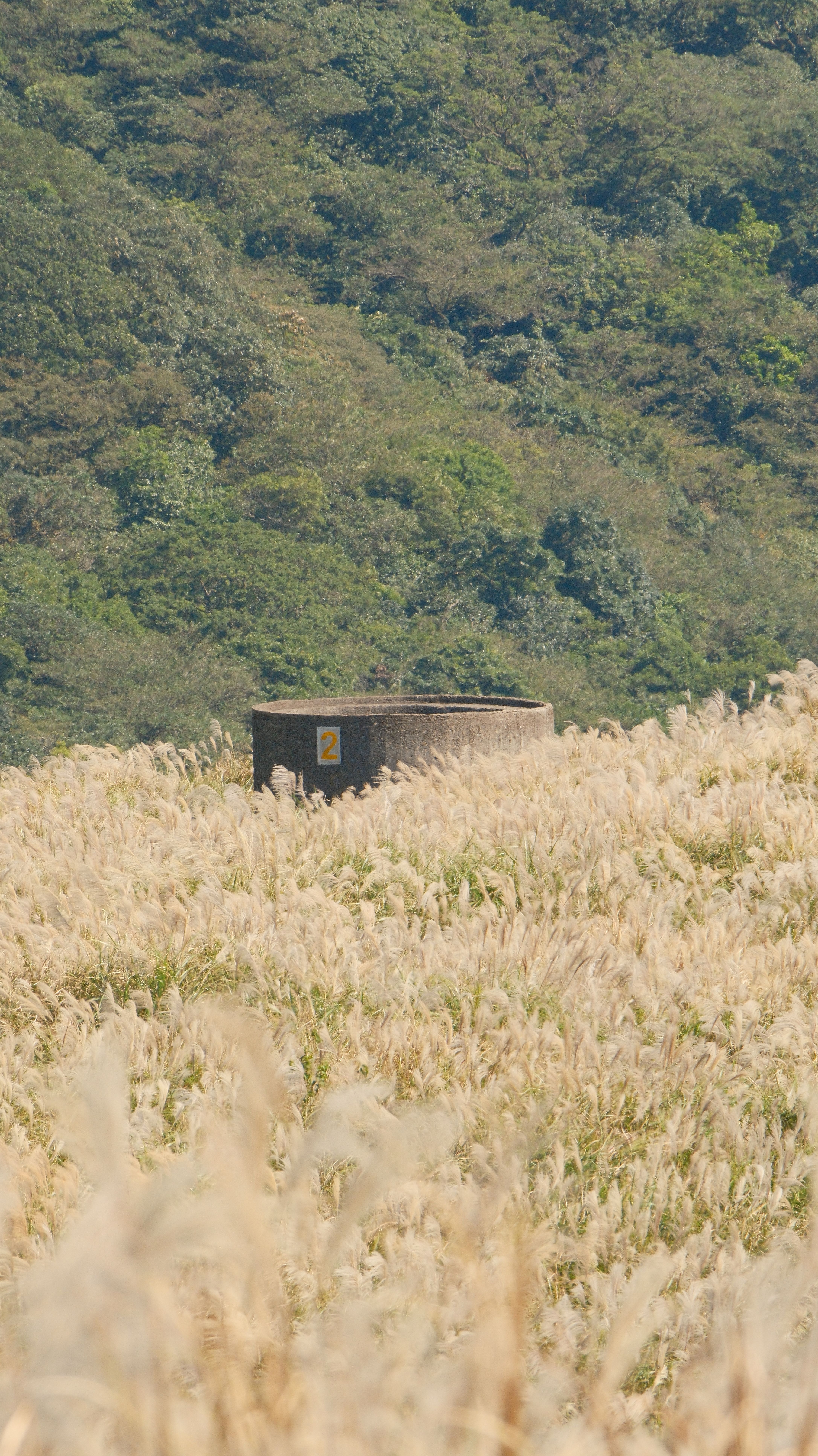 Circular Building on Grassland · Free Stock Photo