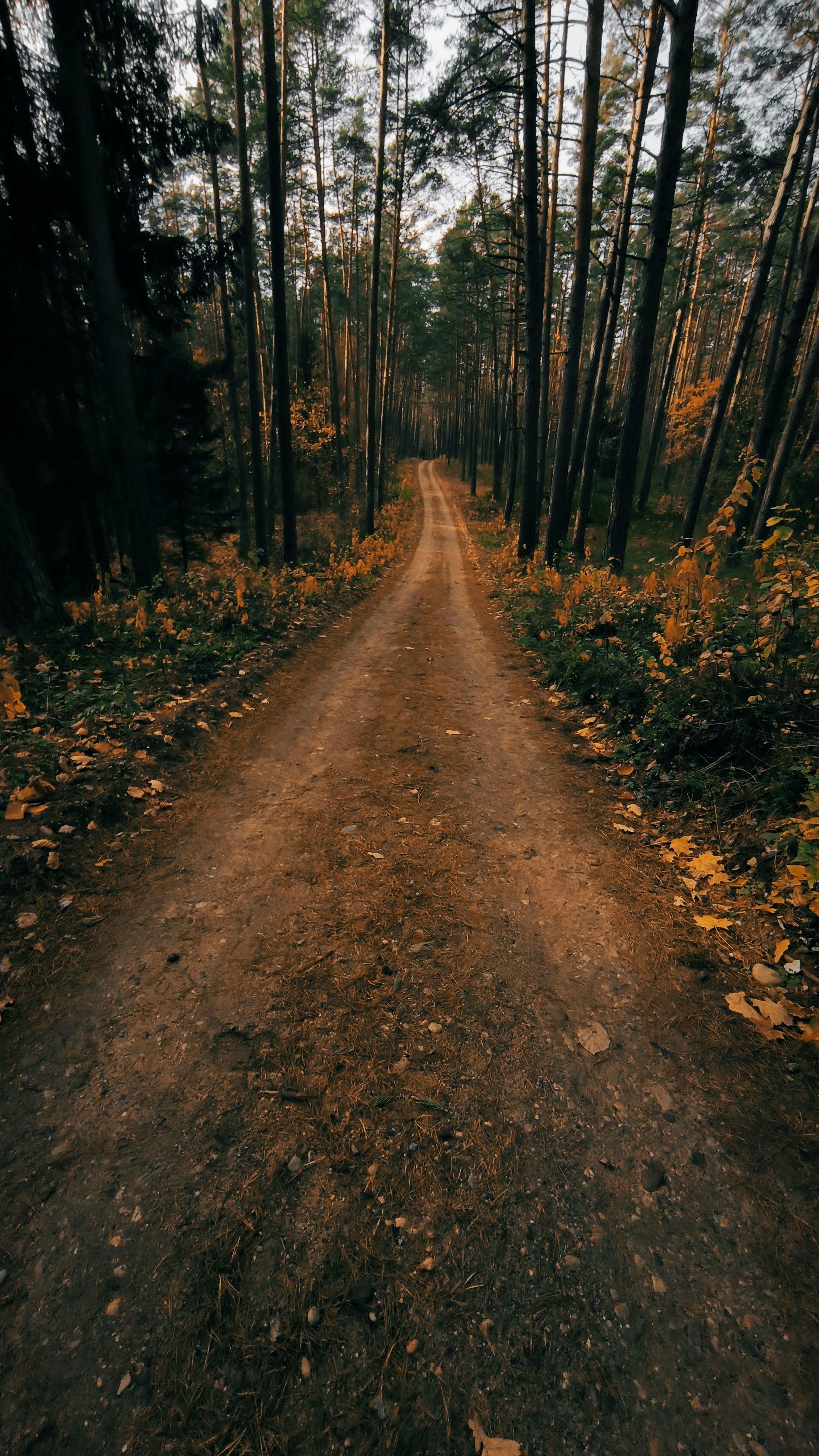 Walkway Mp4 Photos, Download The BEST Free Walkway Mp4 Stock Photos ...
