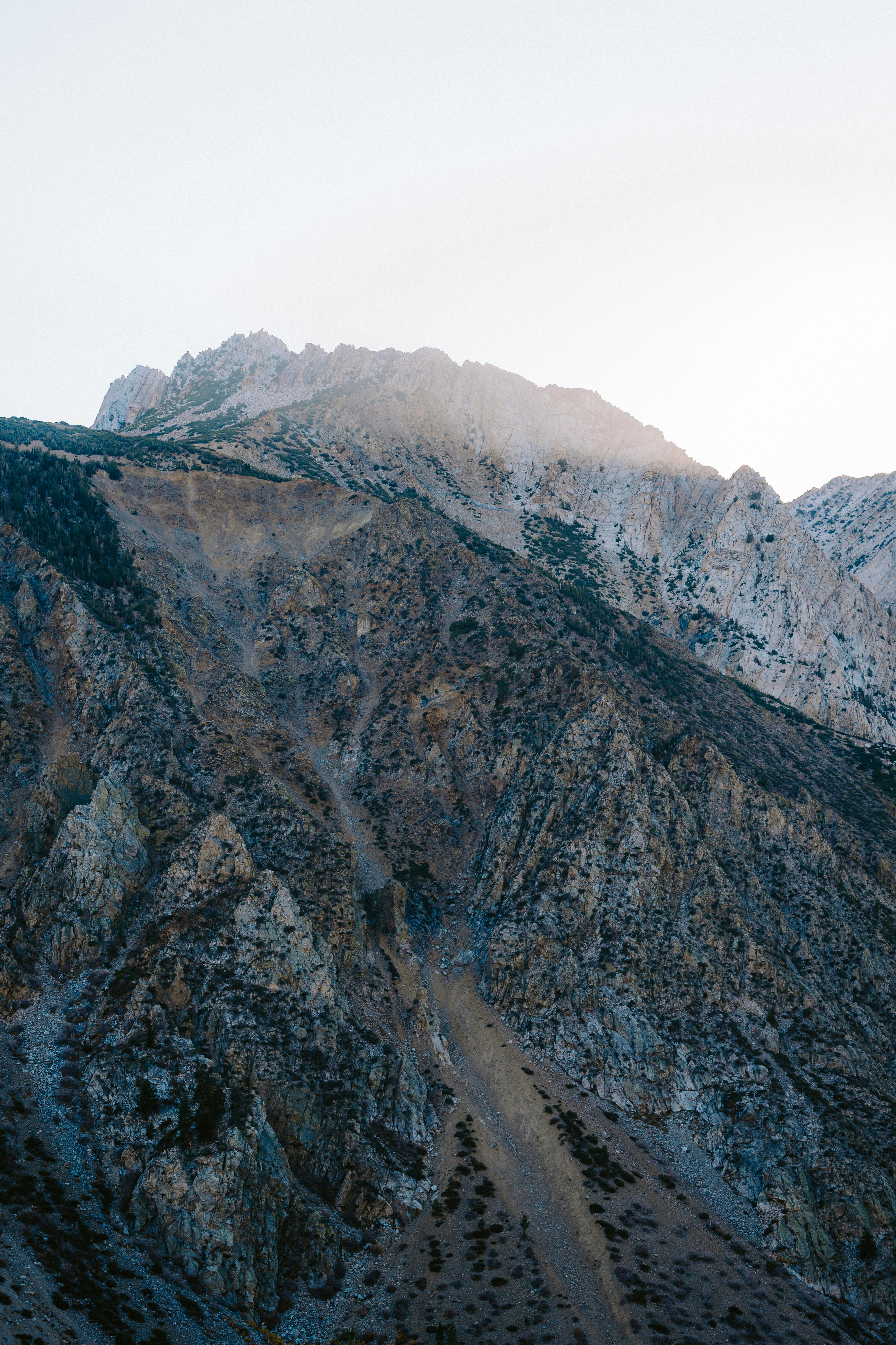 Grassland in Rocky Mountains · Free Stock Photo