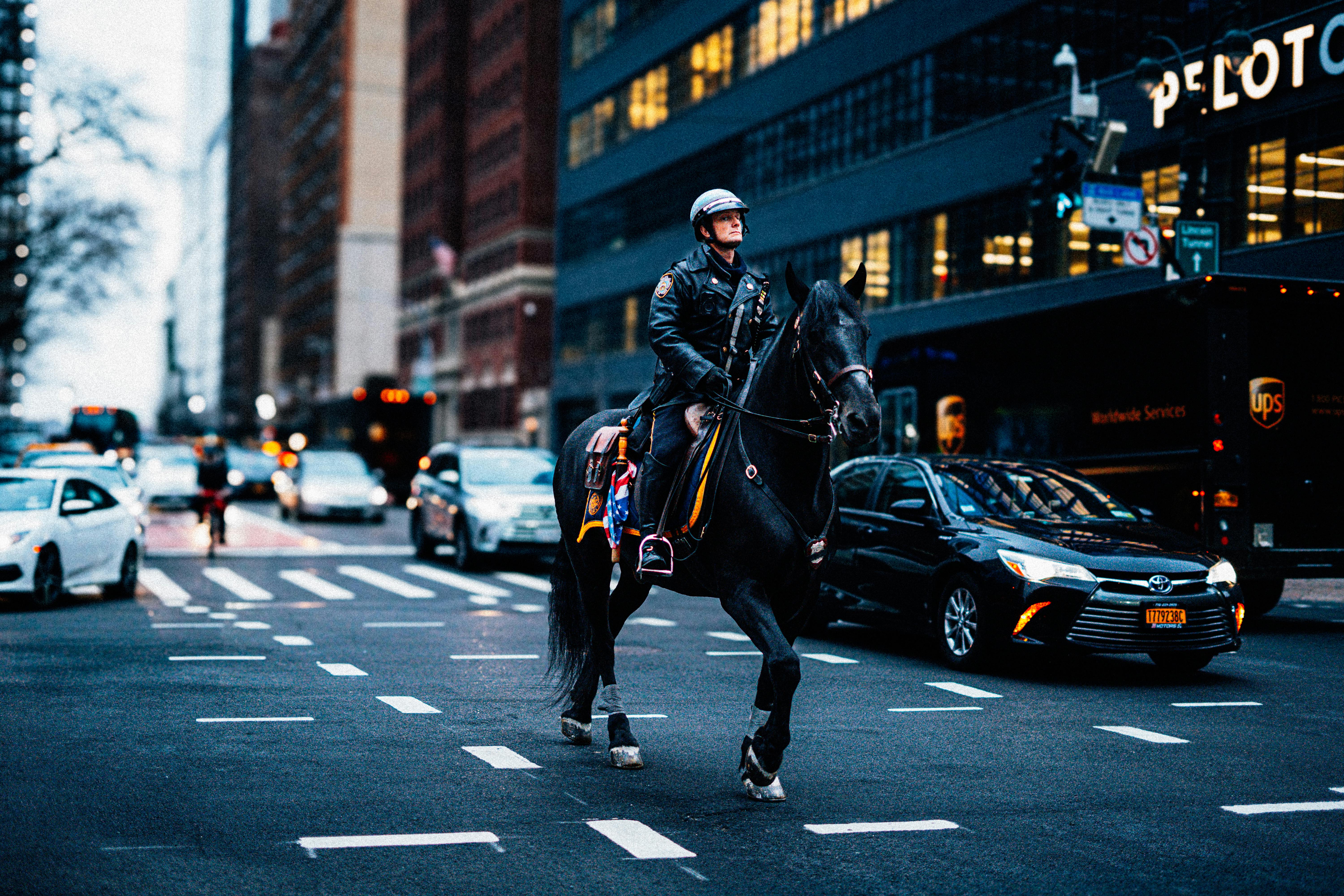 Policeman riding a horse in New York City · Free Stock Photo