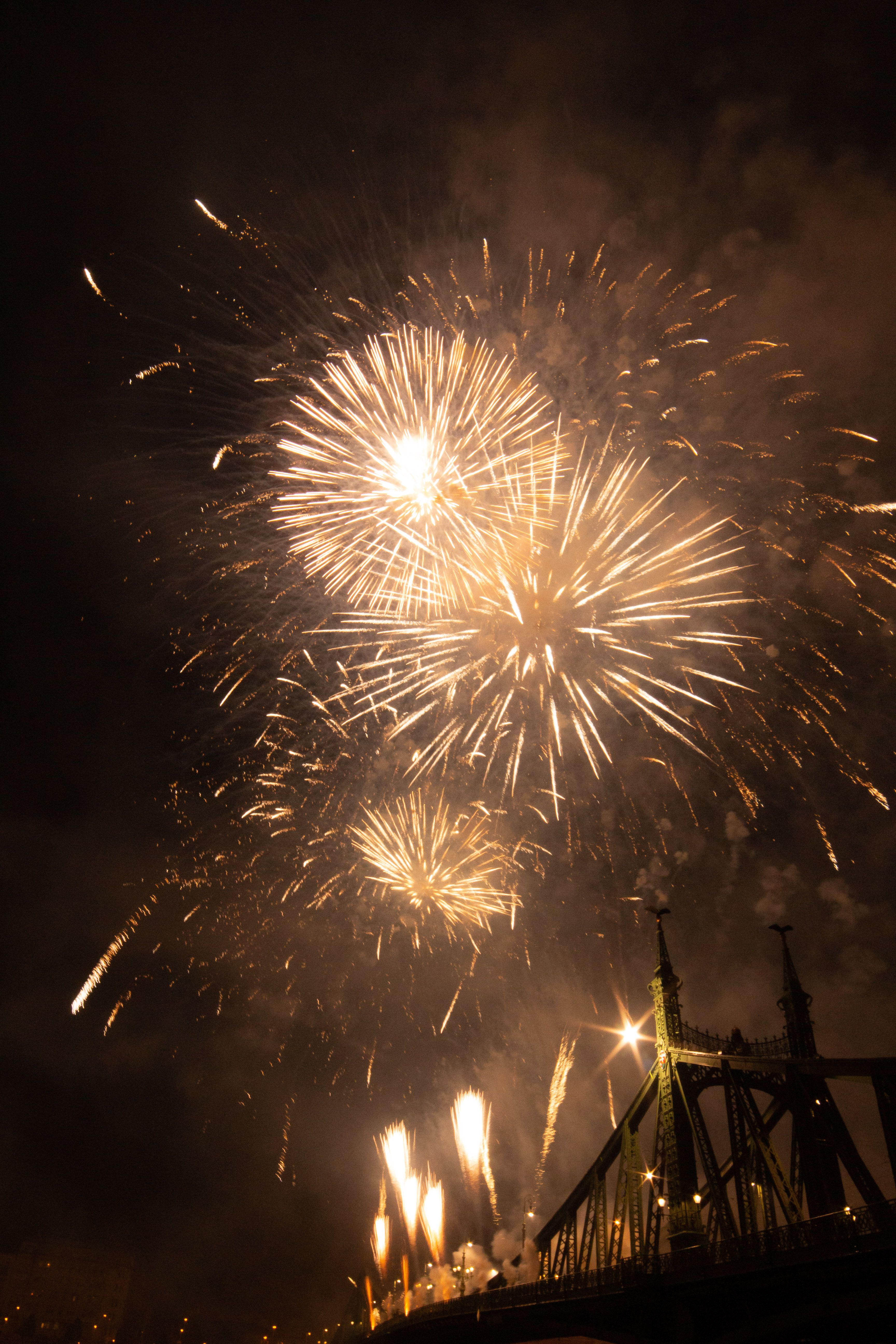 Fireworks in night Sky · Free Stock Photo