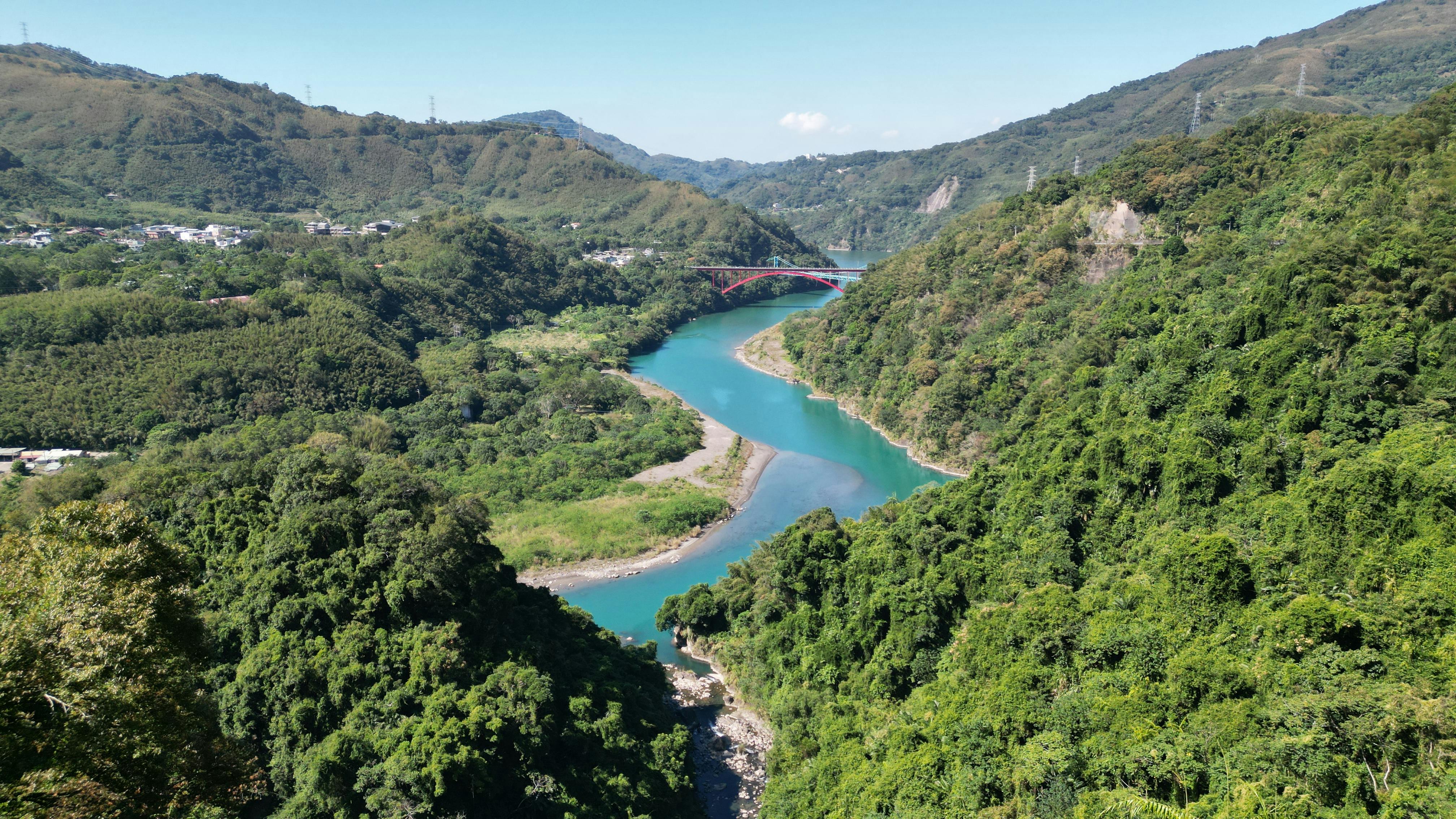 Forest around River in Countryside · Free Stock Photo