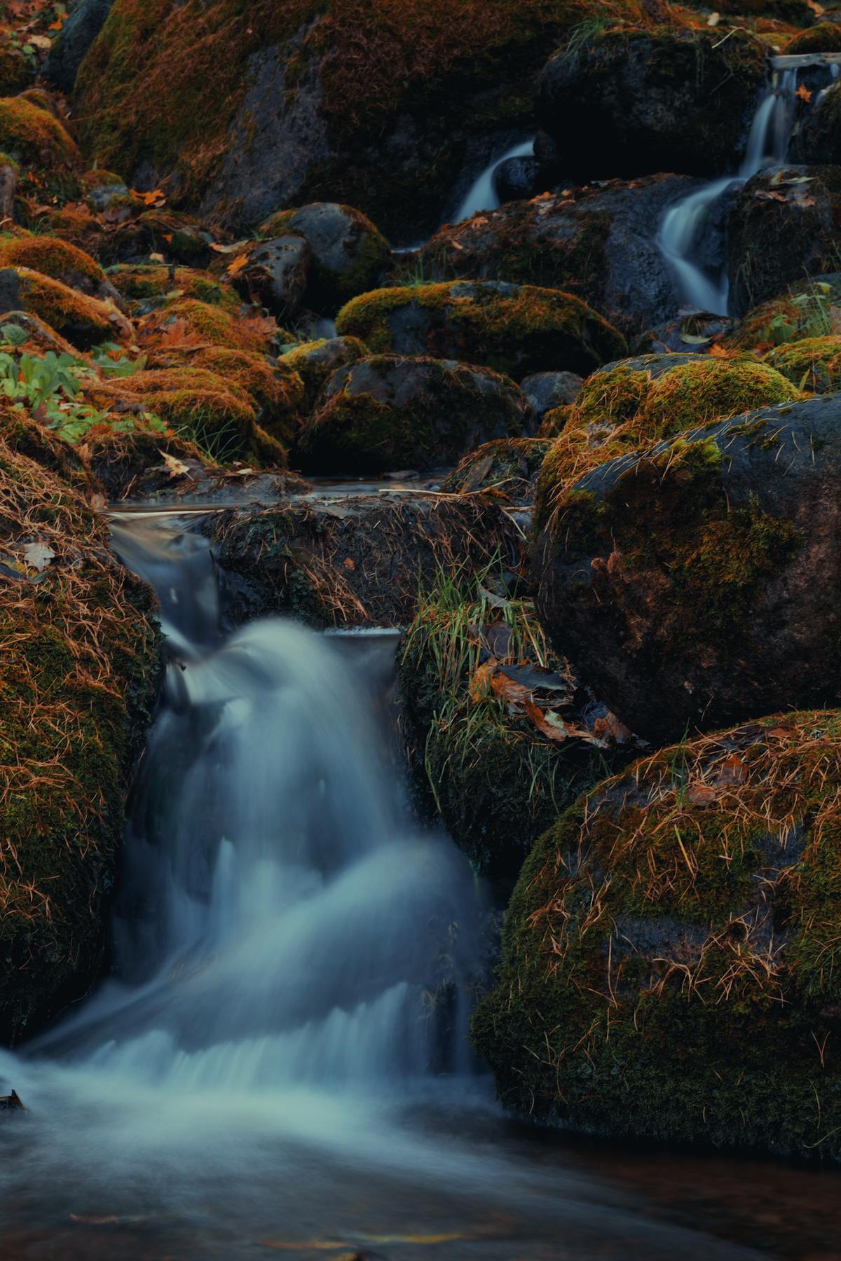 Flowing Stream Photos, Download The BEST Free Flowing Stream Stock ...