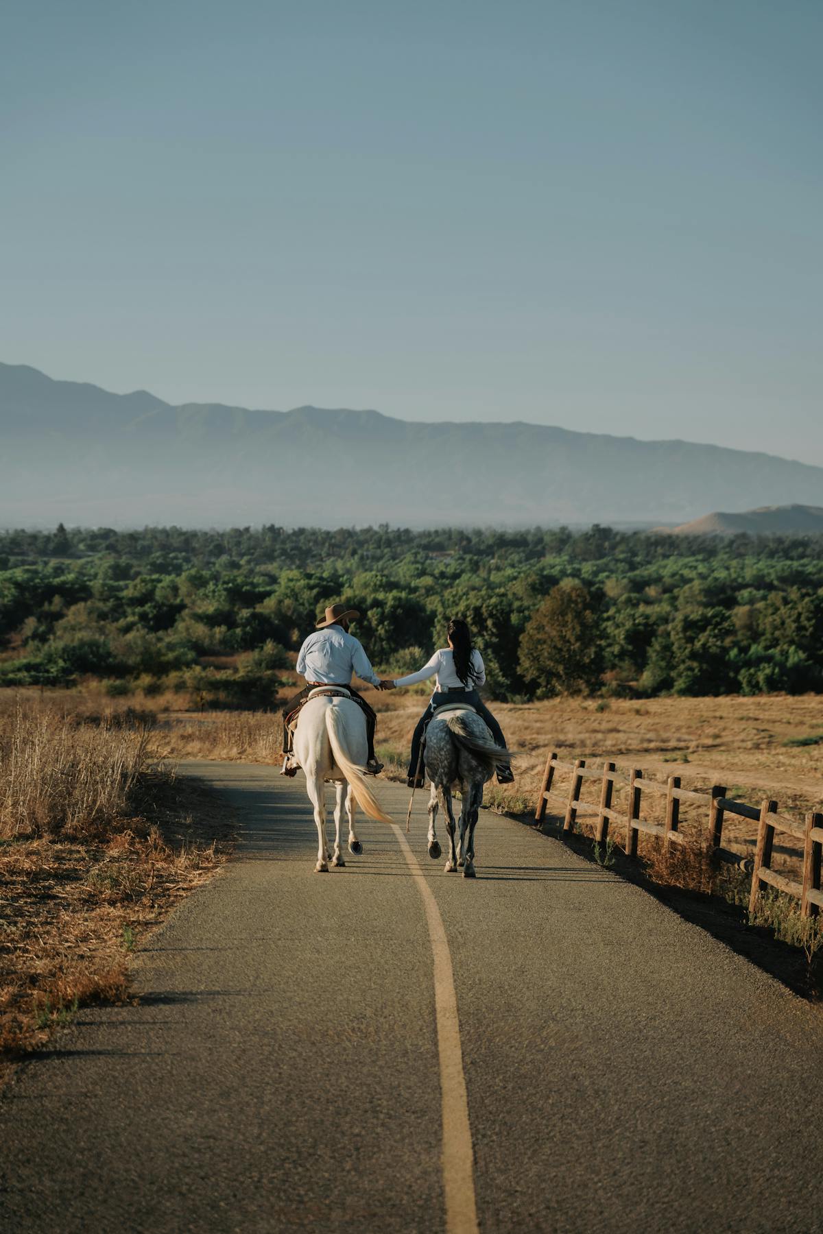 Couple Doing Horse Riding Photos, Download The BEST Free Couple Doing ...