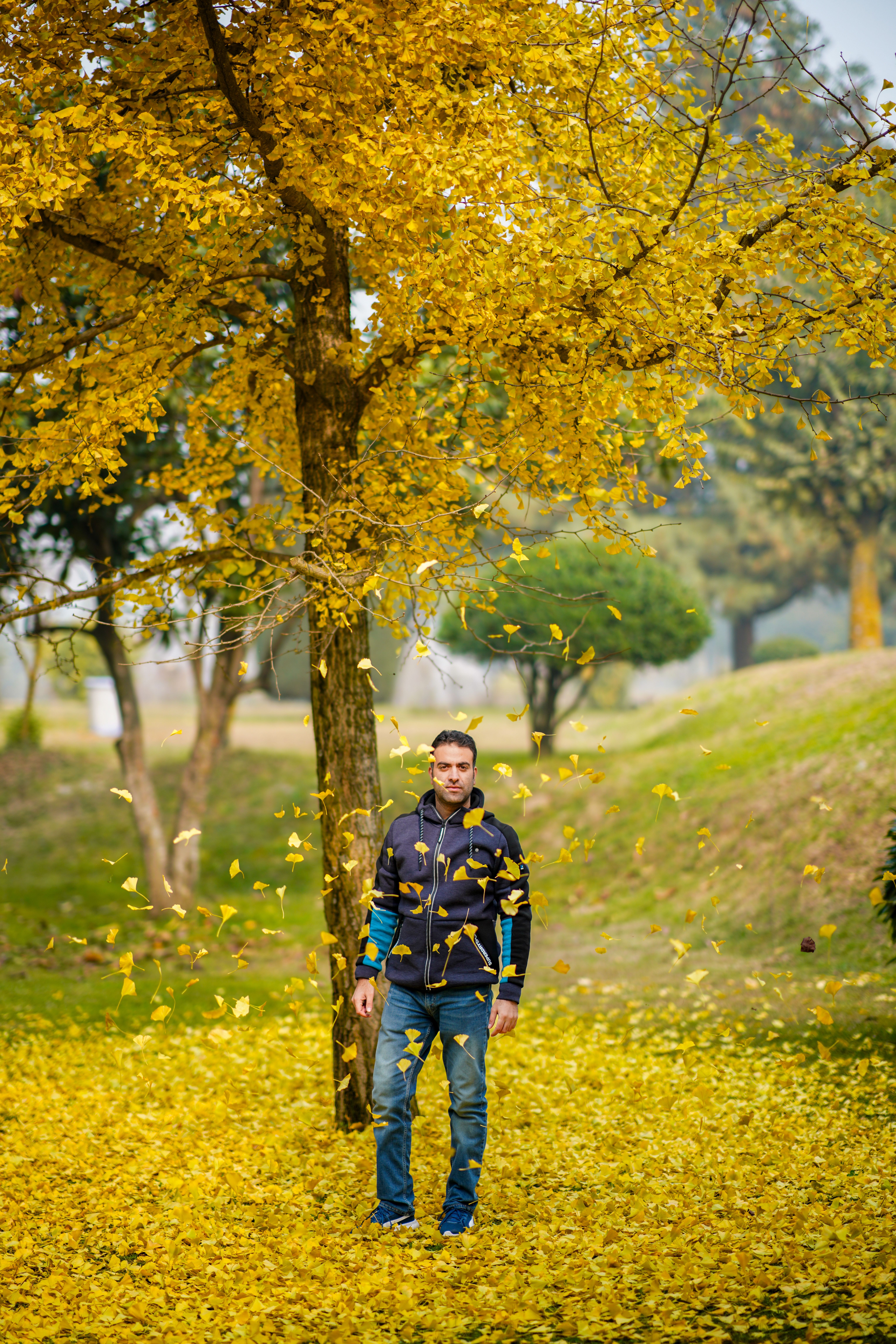 Man Standing under Autumn Tree · Free Stock Photo