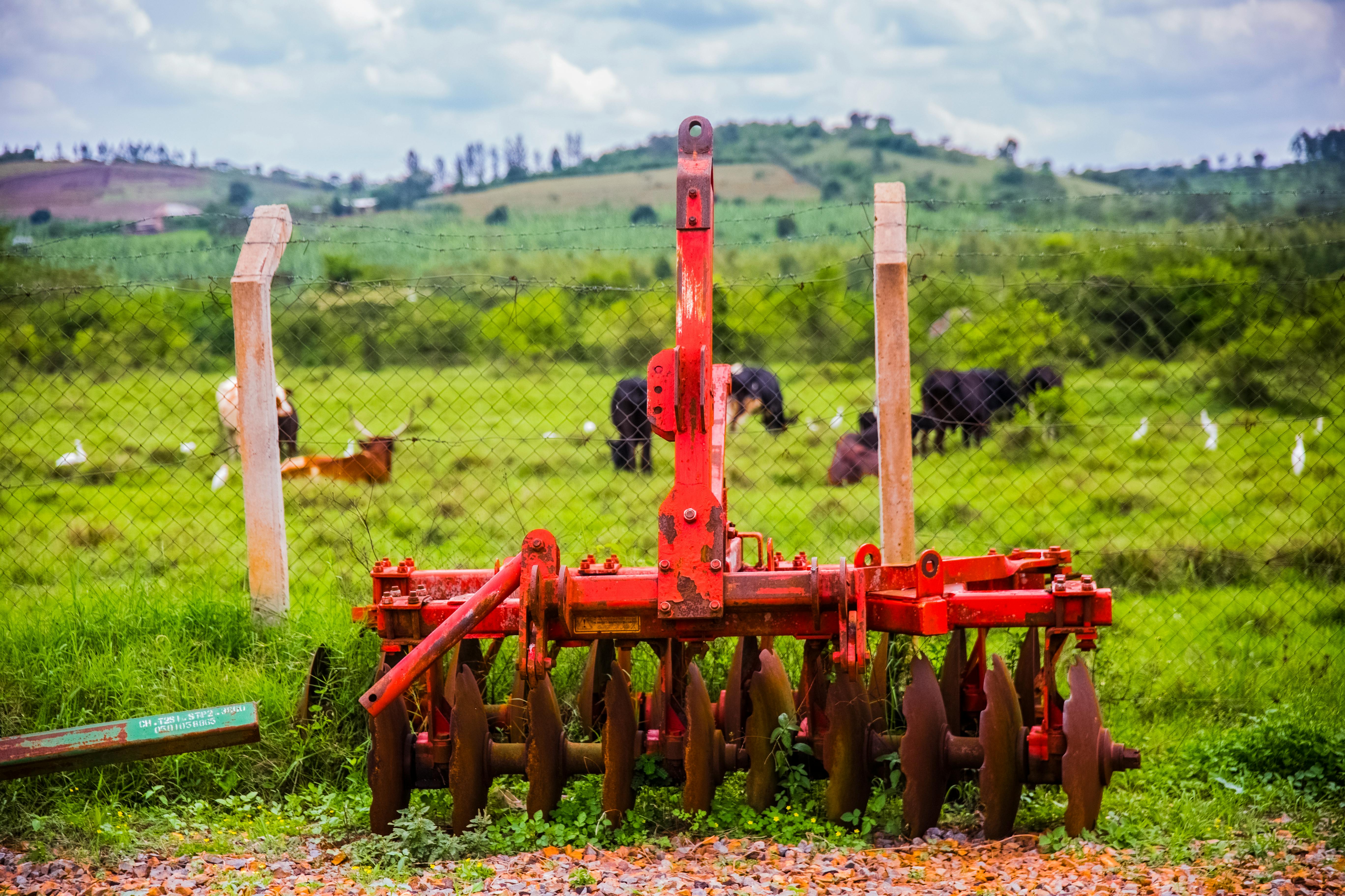 Smoothie Machine Photos, Download The BEST Free Smoothie Machine Stock ...