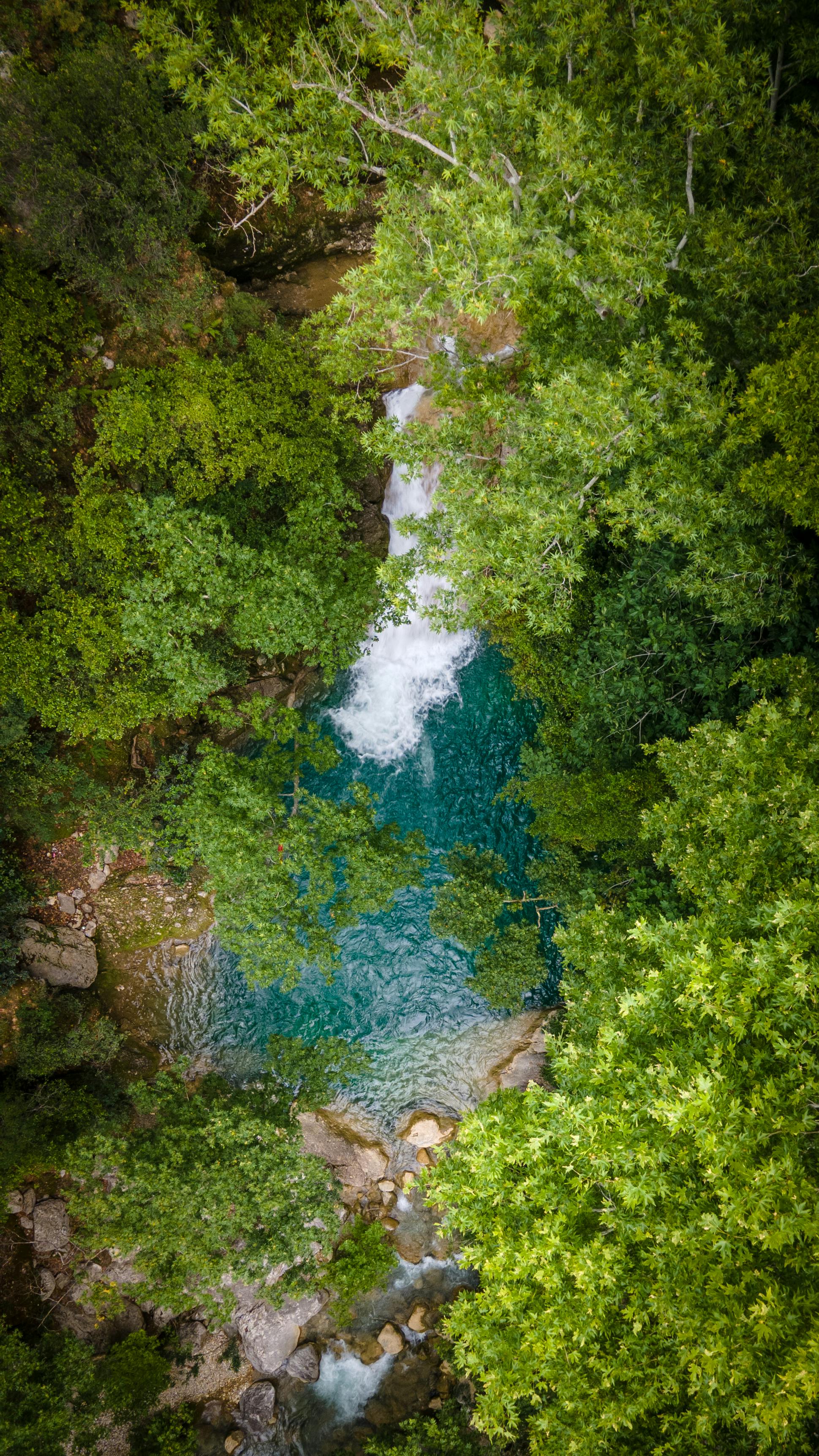 Bird's Eye View of Waterfall in Dense Forest · Free Stock Photo
