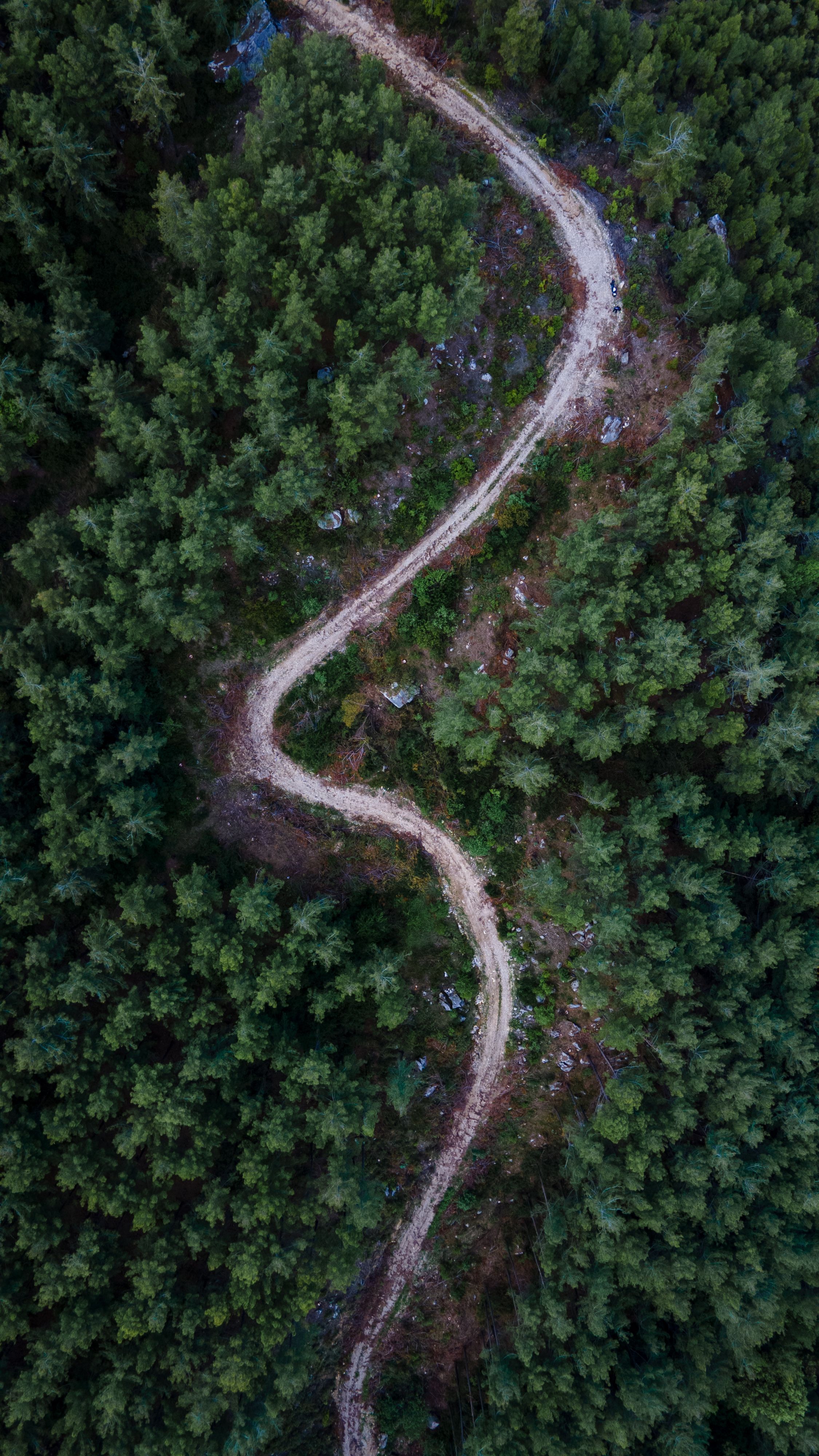 Gray Car on Long Winding Road · Free Stock Photo