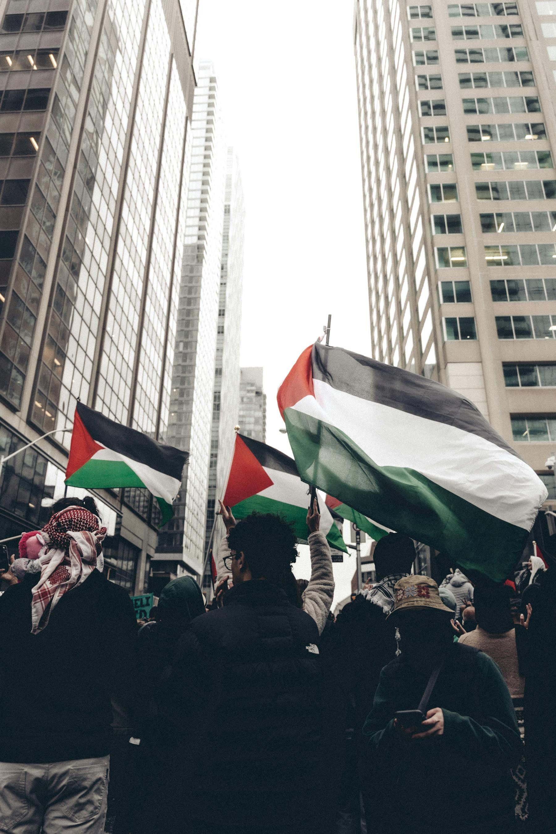 Palestine Photos, Download The BEST Free Palestine Stock Photos & HD Images