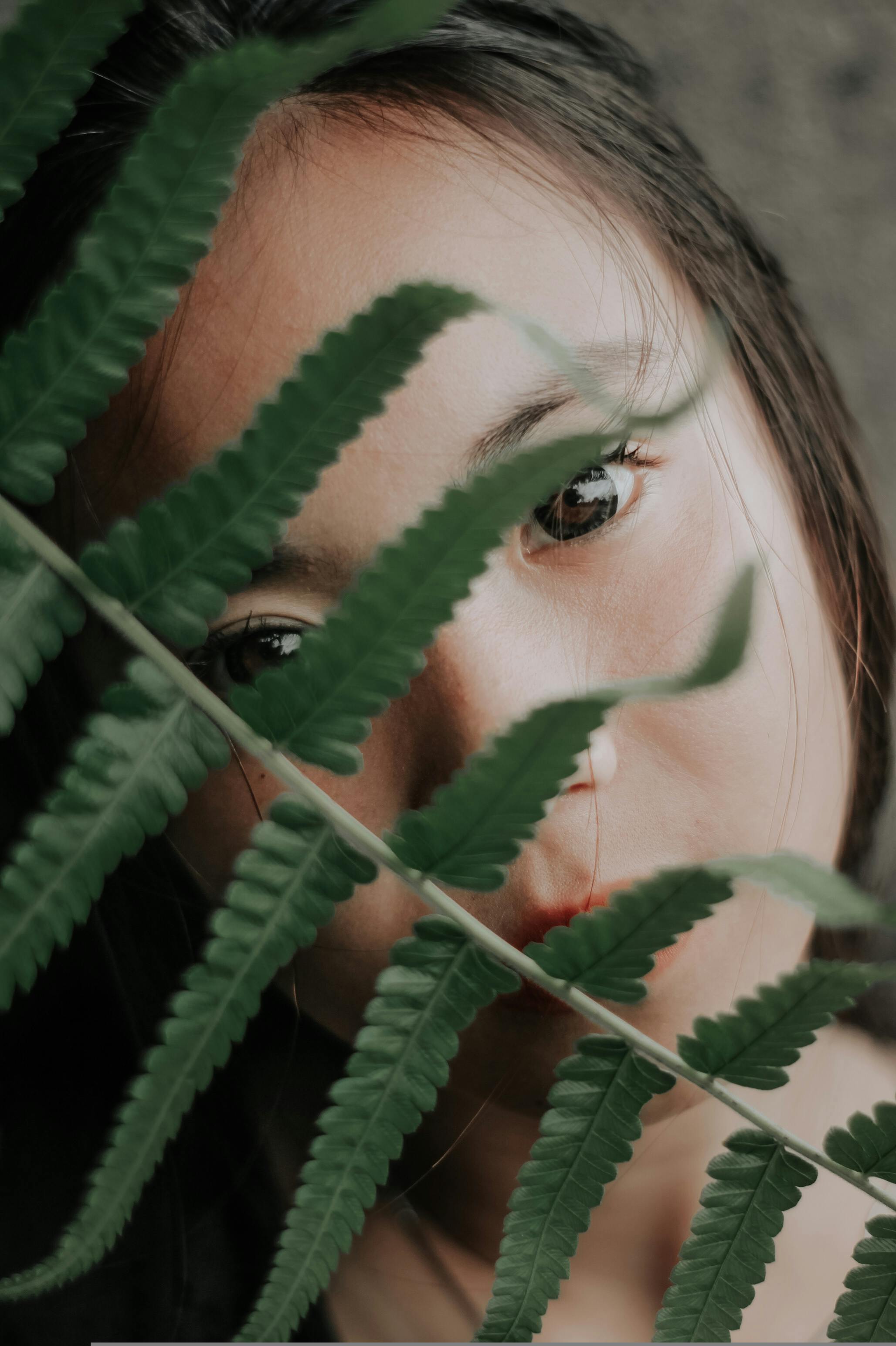 Bold Plant Photos, Download The BEST Free Bold Plant Stock Photos & HD ...