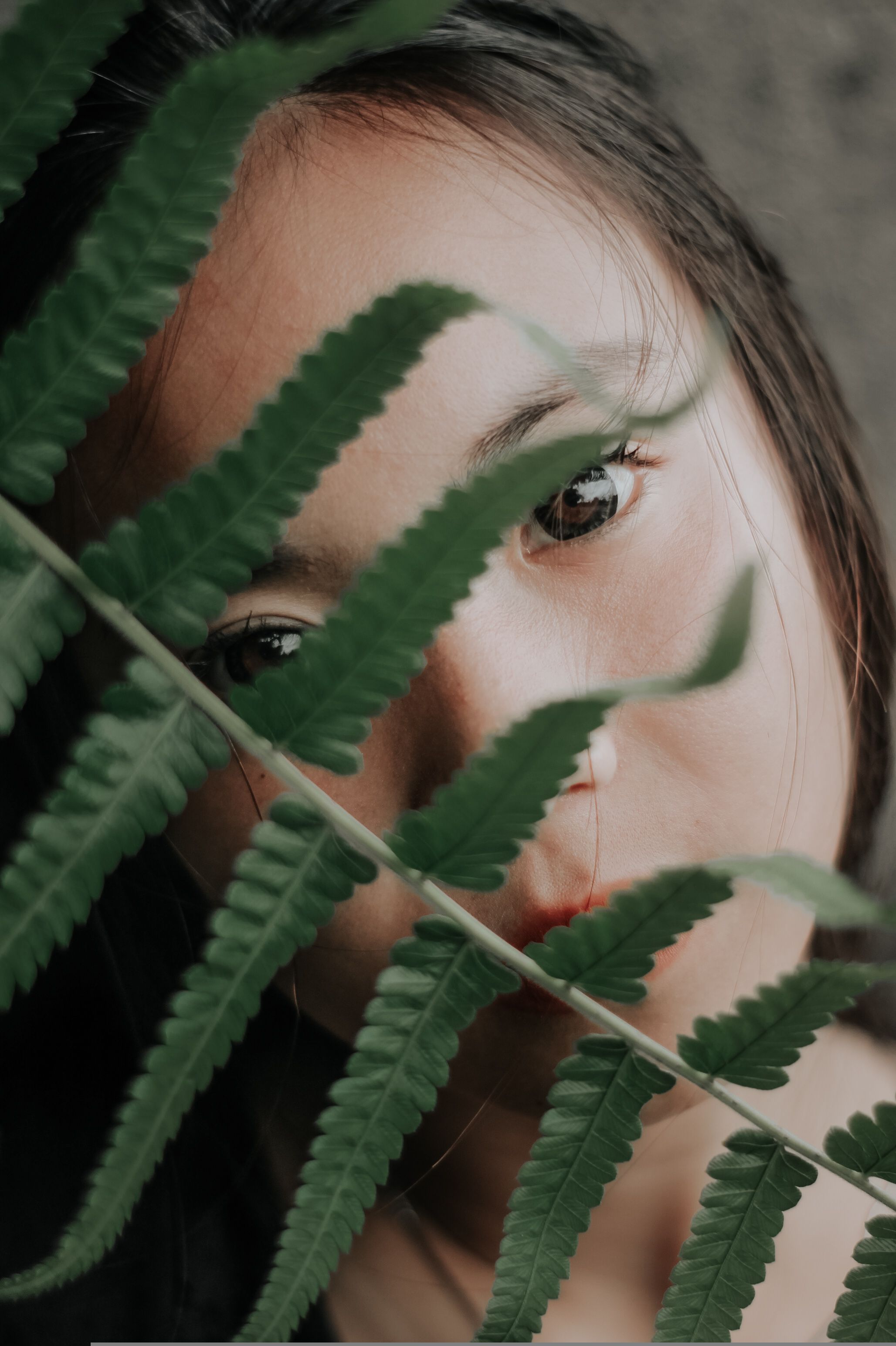 Young Woman Holding a Fern Leaf in front of Her Face · Free Stock Photo