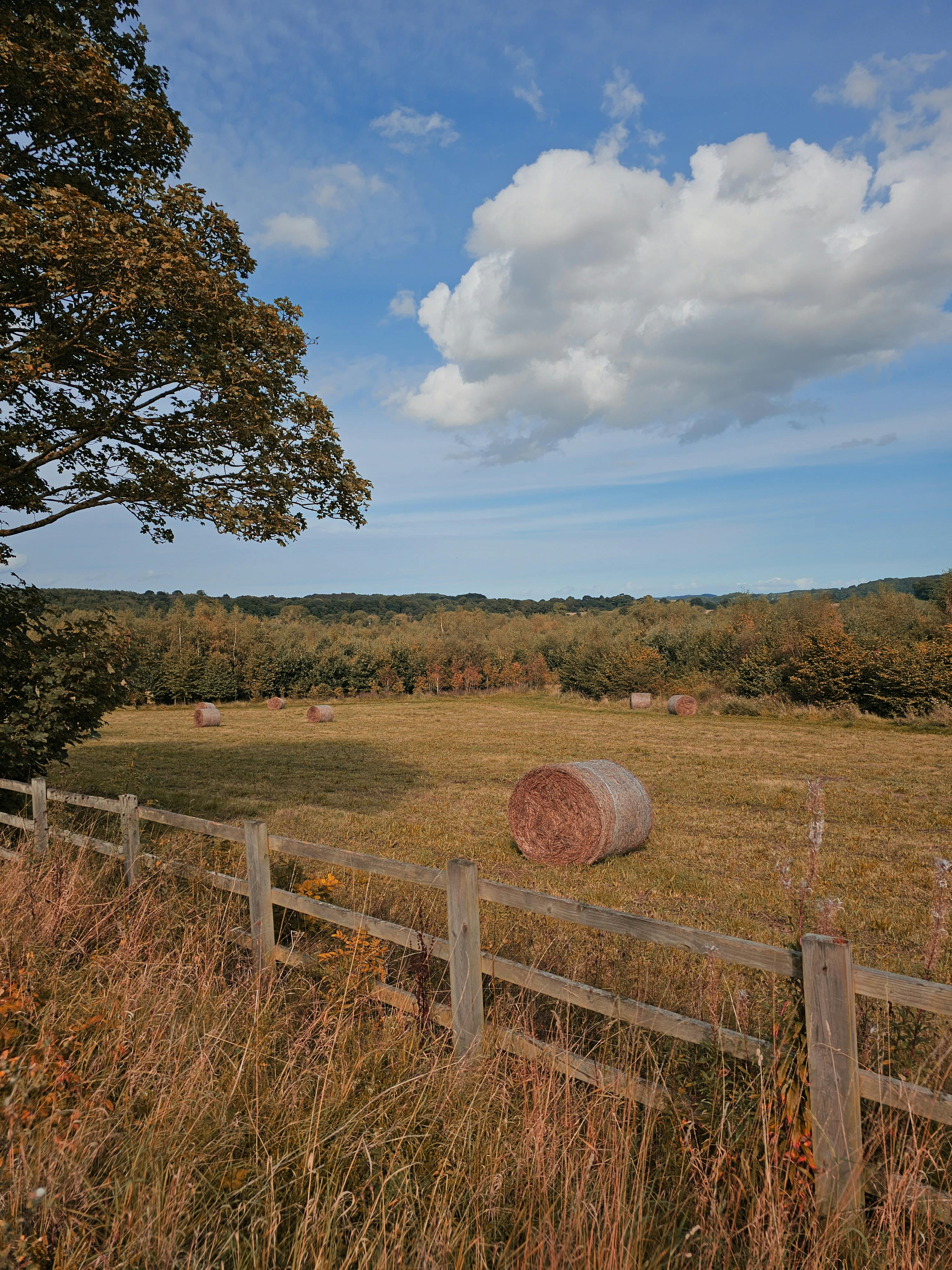 Hayfield During Sunset · Free Stock Photo