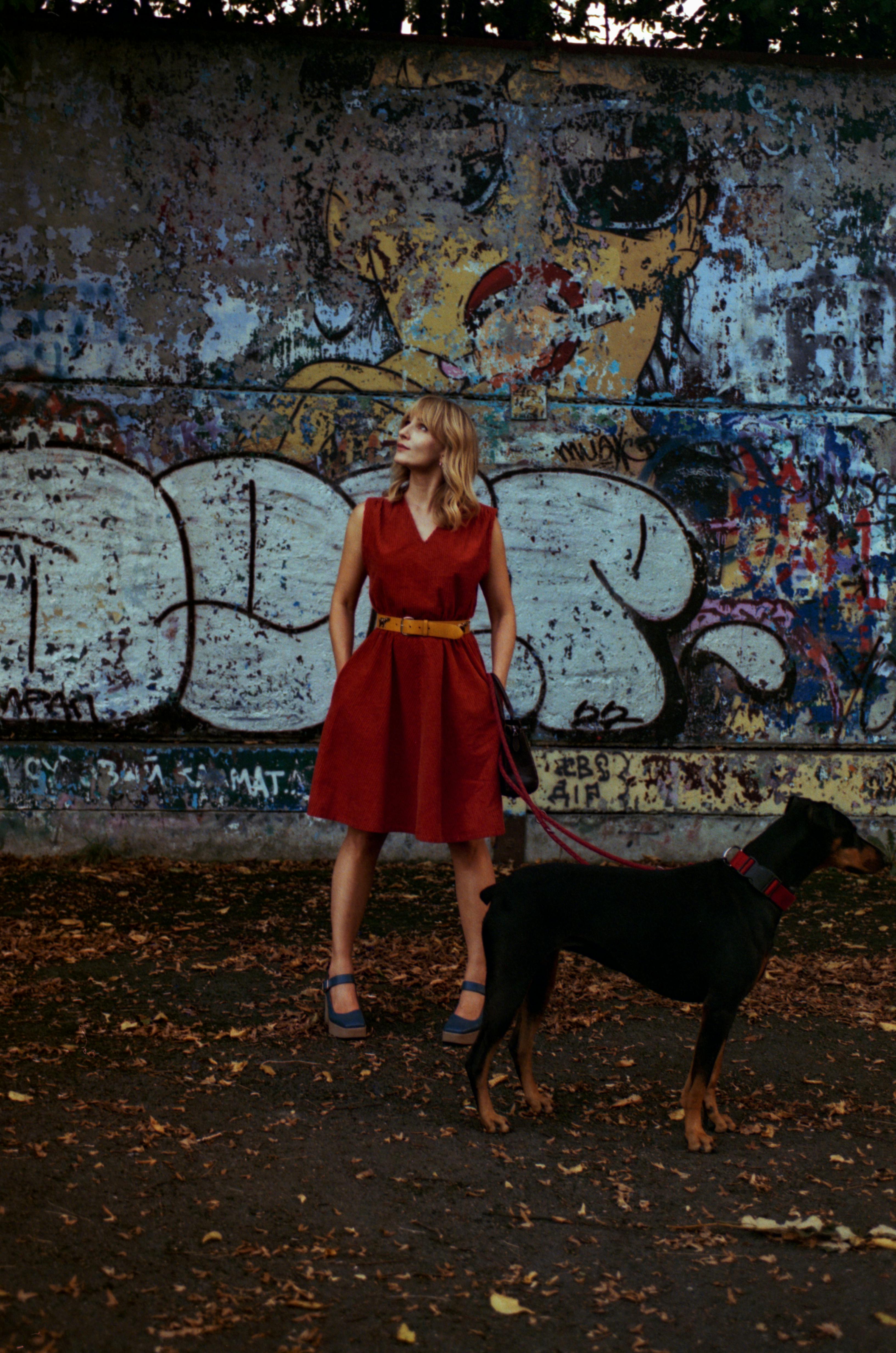 Thumbnail Animal Photos, Download The BEST Free Thumbnail Animal Stock ...