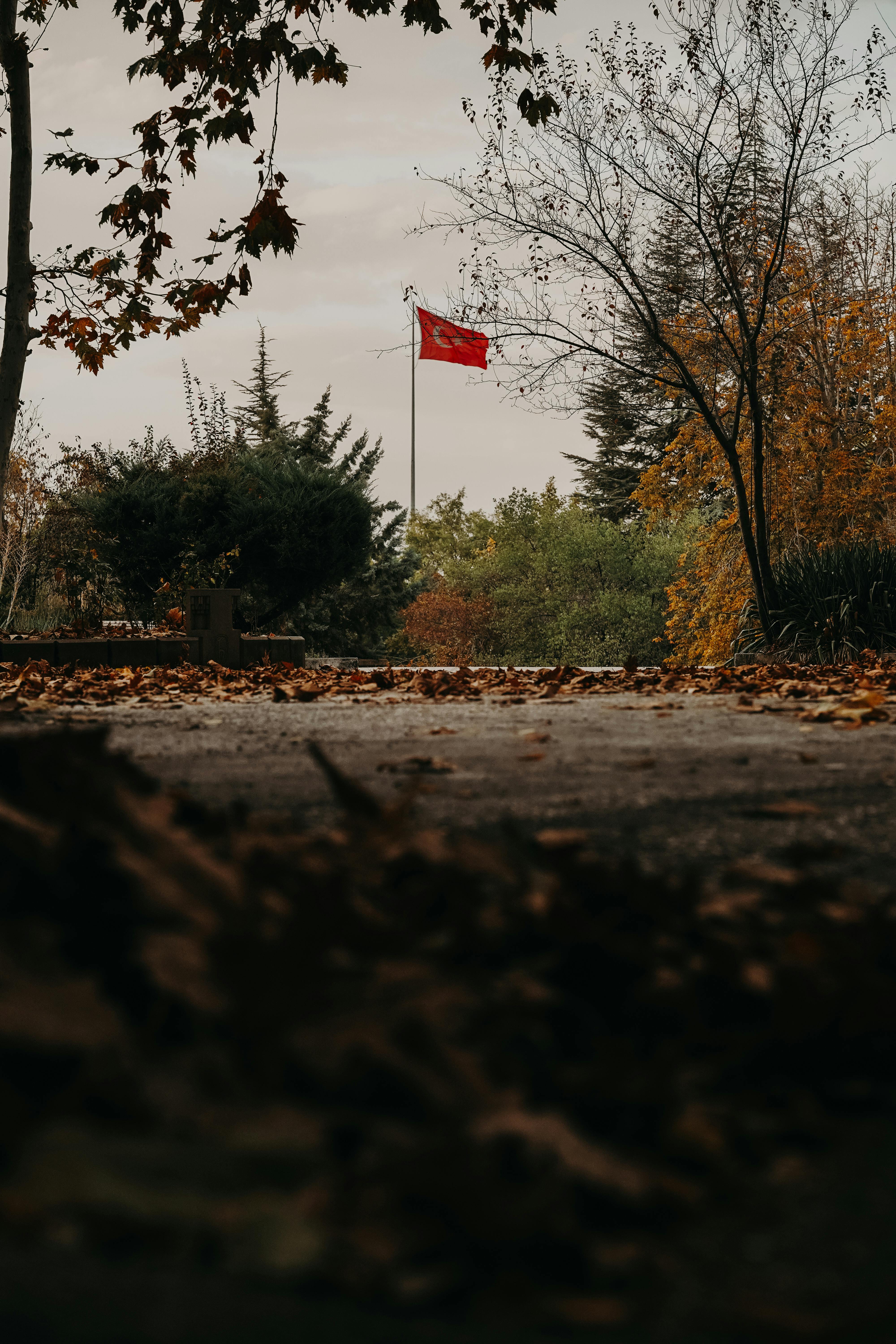 Flag of Turkey behind Trees in Park in Autumn · Free Stock Photo