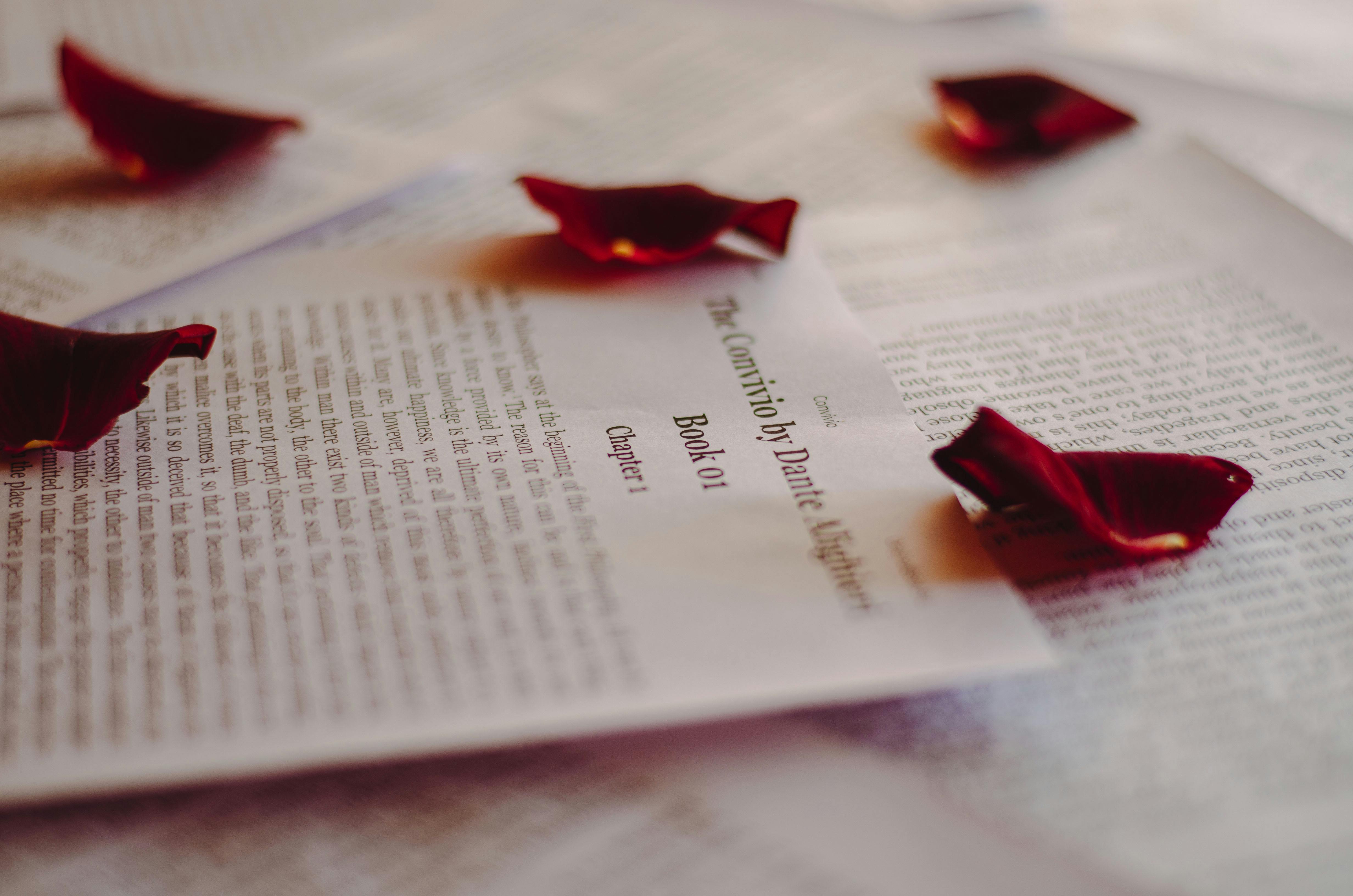 Core English Book Background Photos, Download The BEST Free Core ...