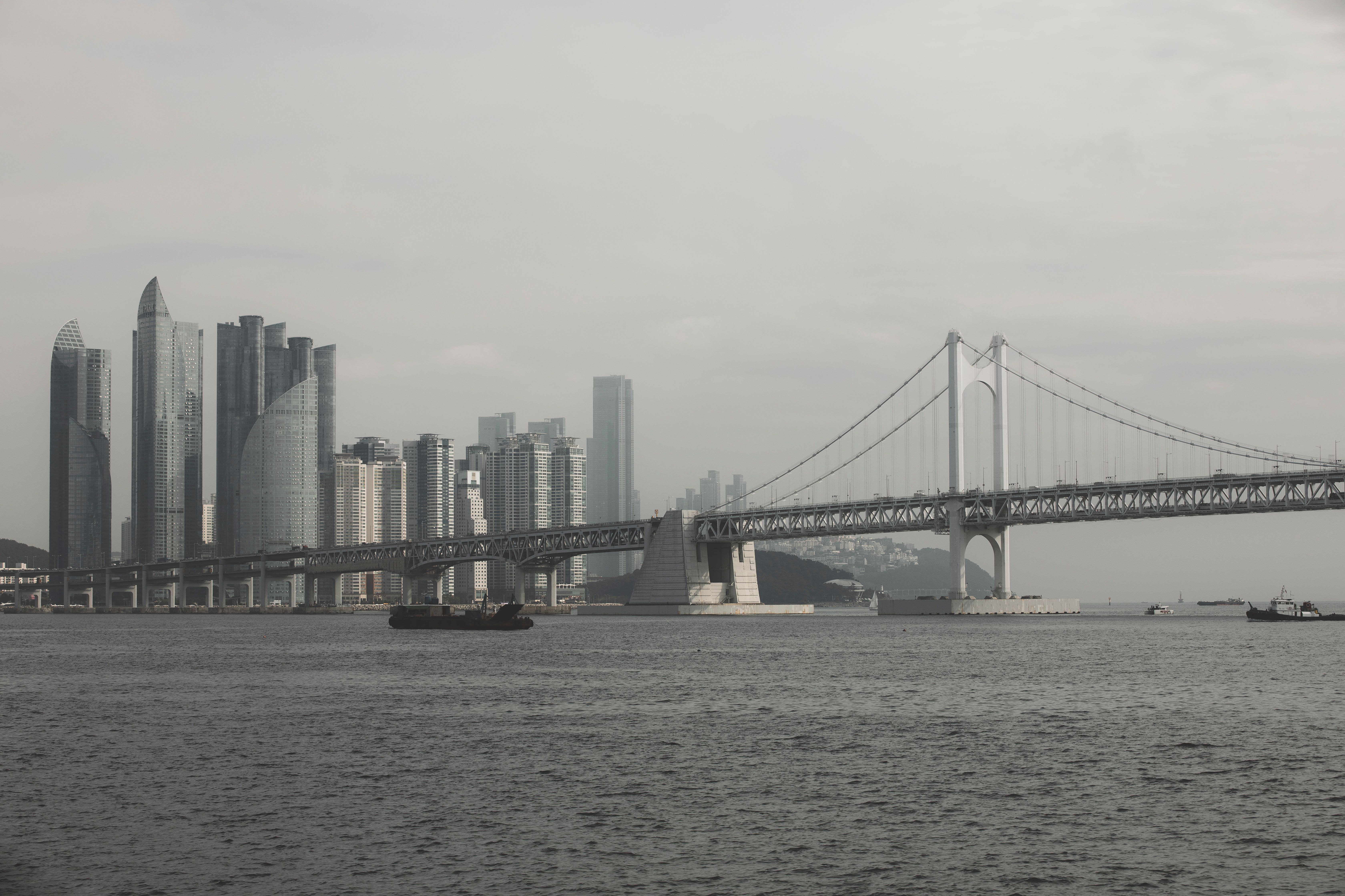 Gwangan Bridge with Skyscrapers in Busan · Free Stock Photo