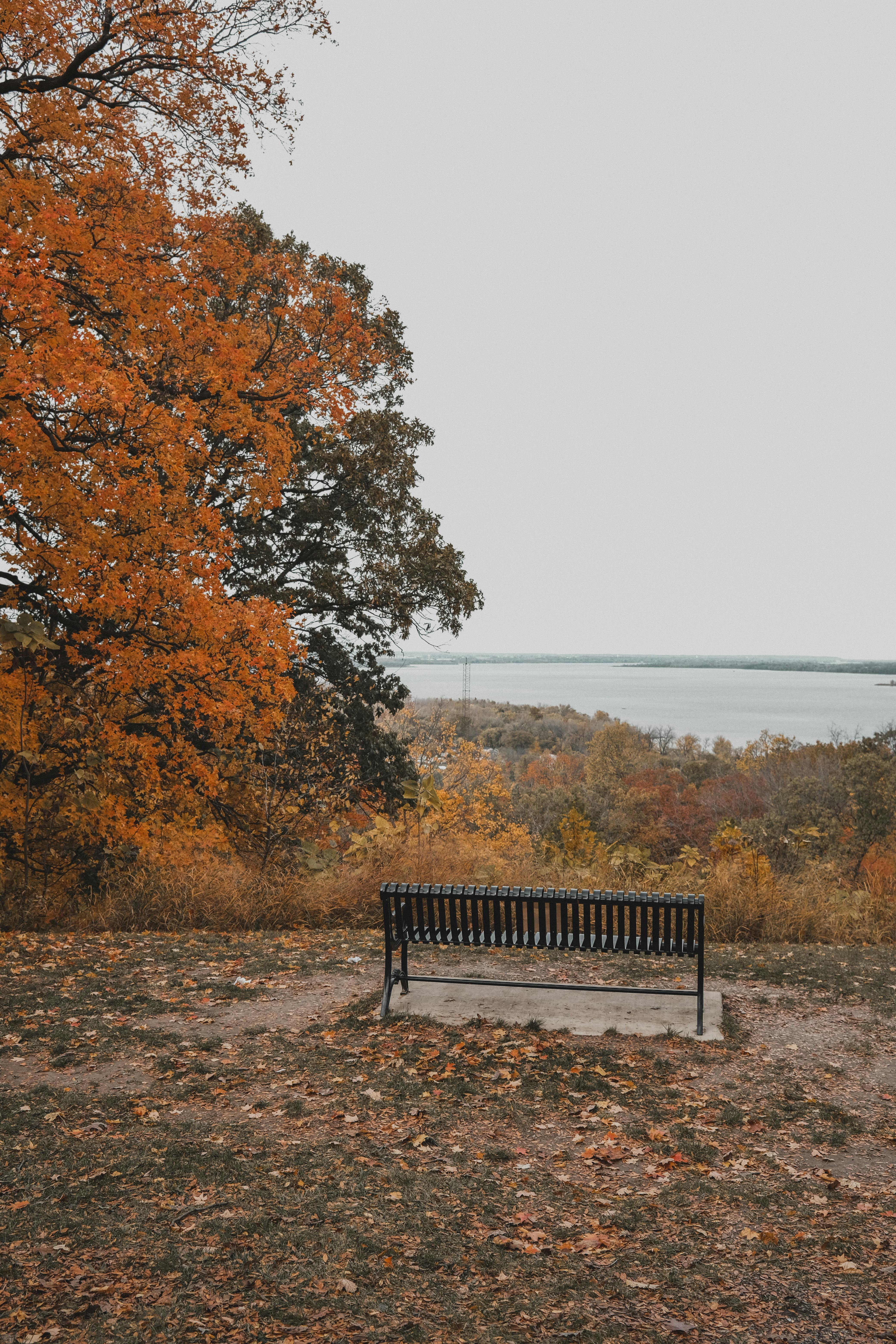 Wooden Bench by the Lake in Fall · Free Stock Photo