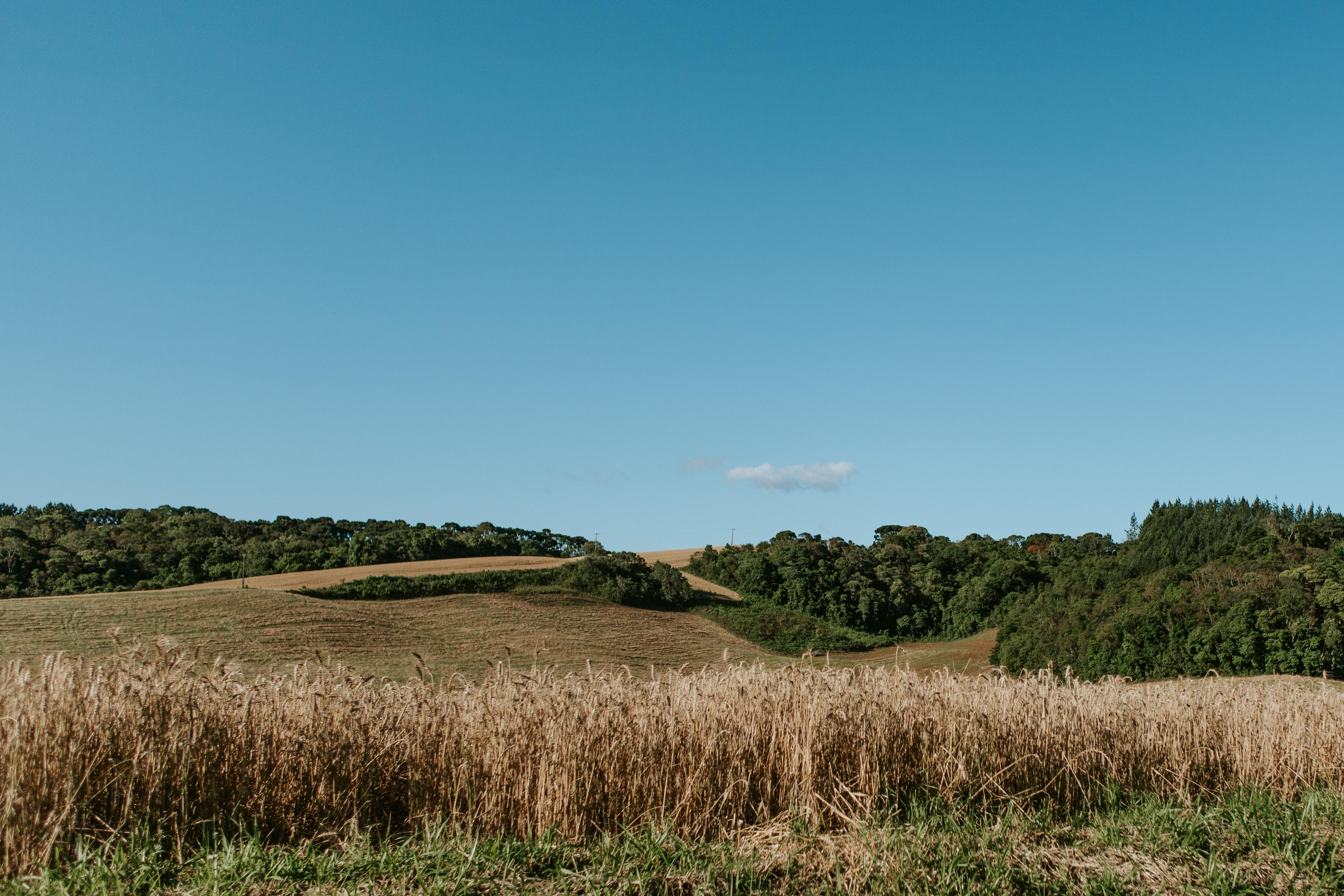Otavio Henrique – Fotografia