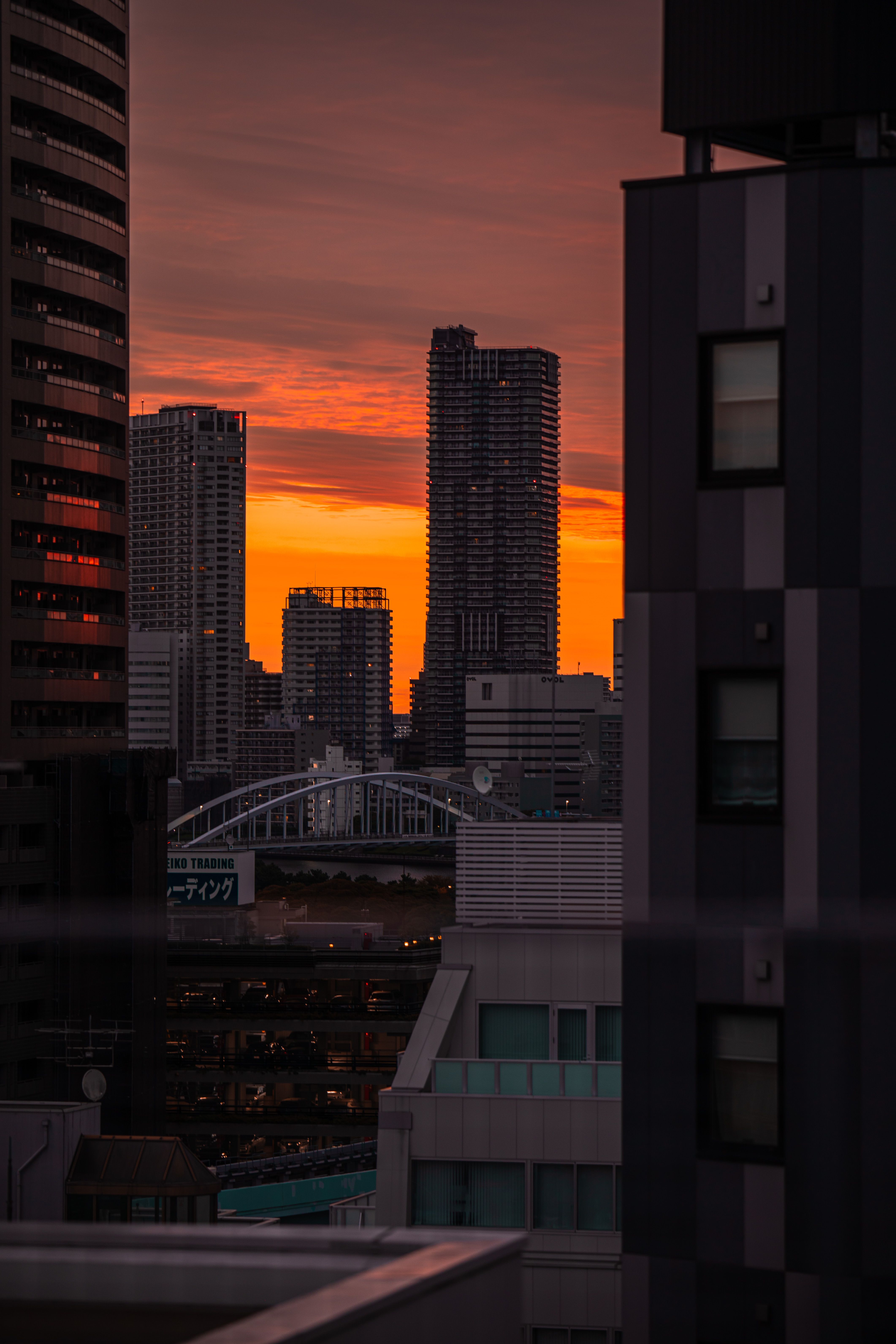 Cityscape of Tokyo · Free Stock Photo