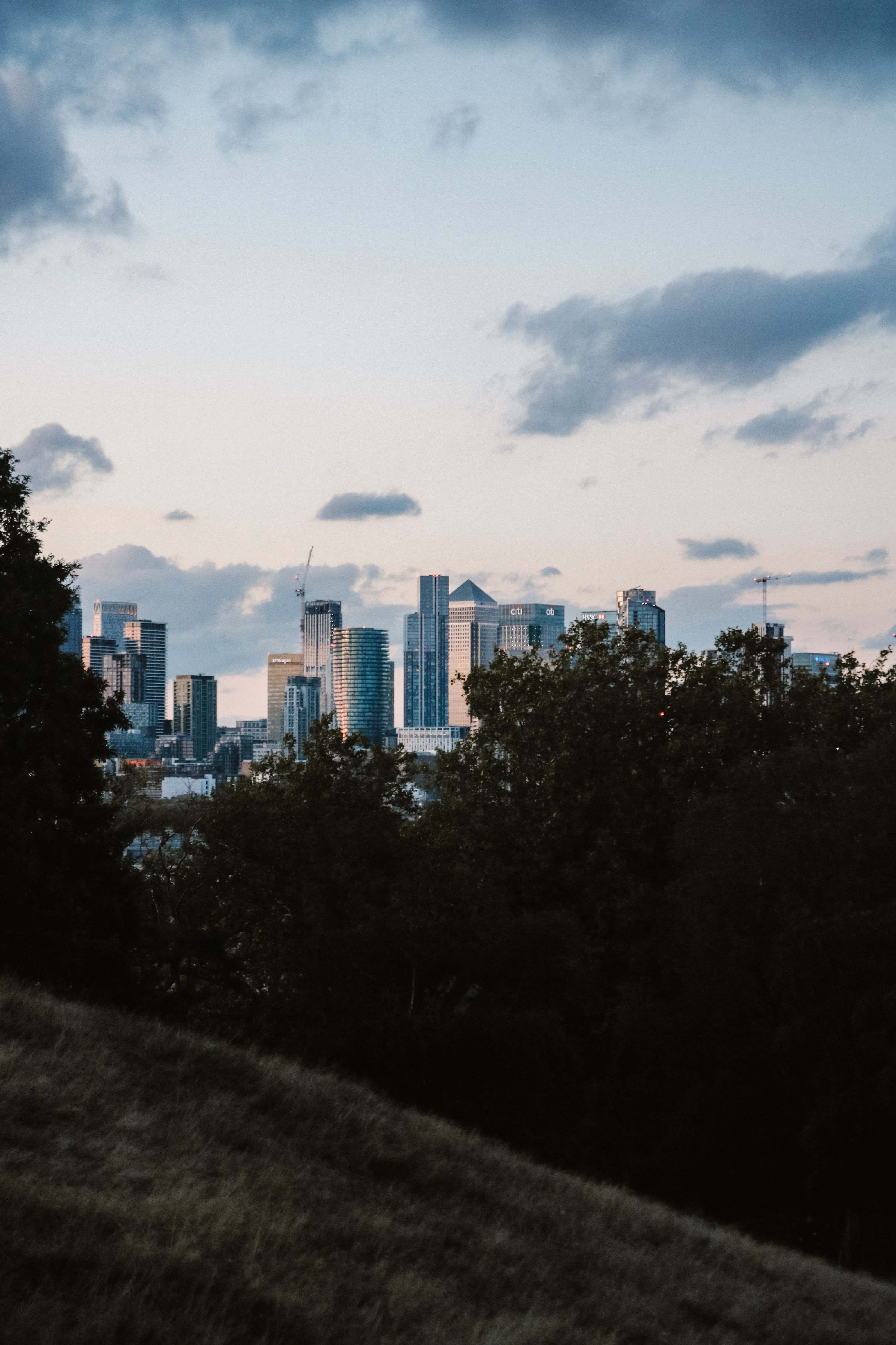 Skyline Trees Photos, Download The BEST Free Skyline Trees Stock Photos ...
