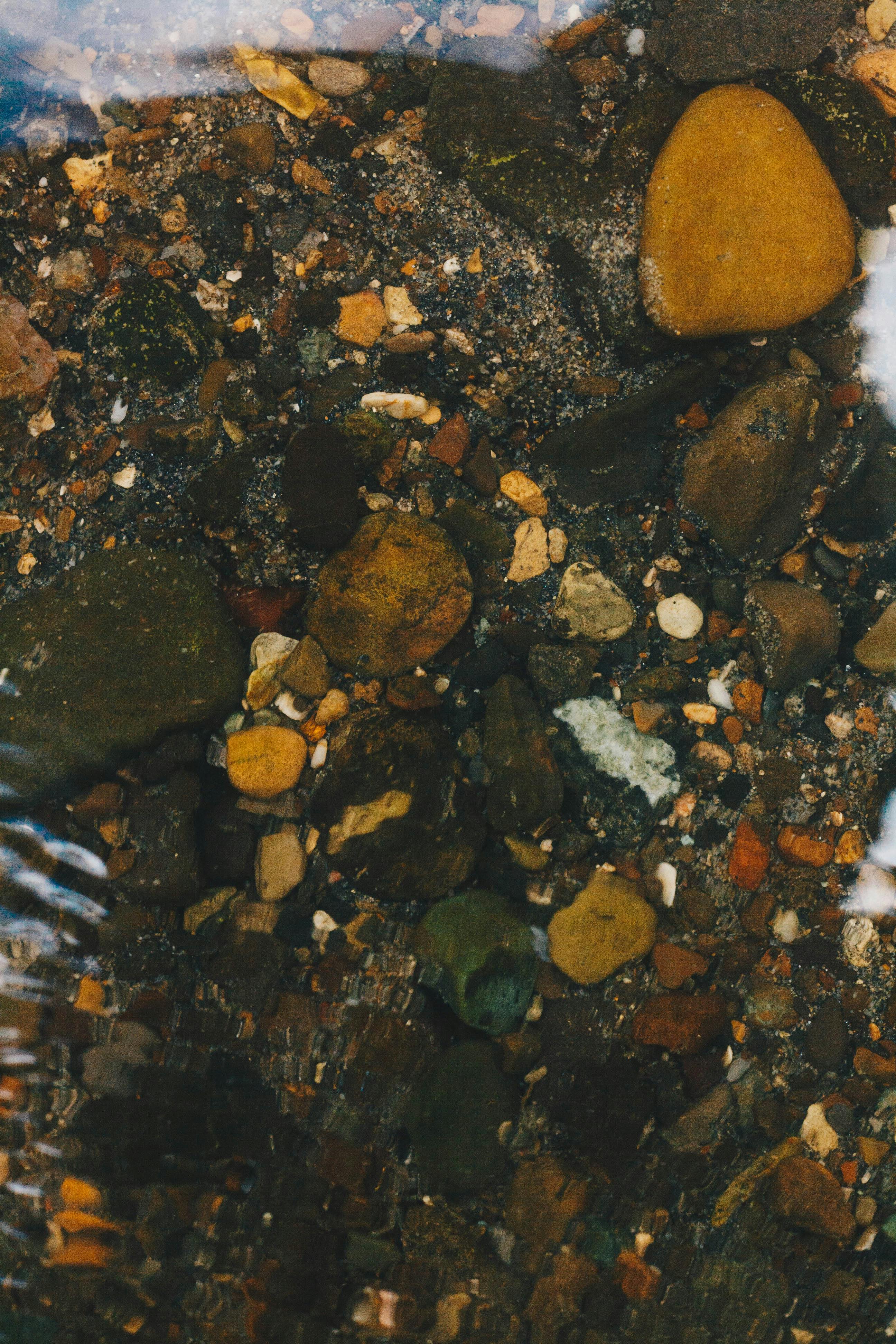 Pebbles and Sand at the Bottom of the Pond · Free Stock Photo