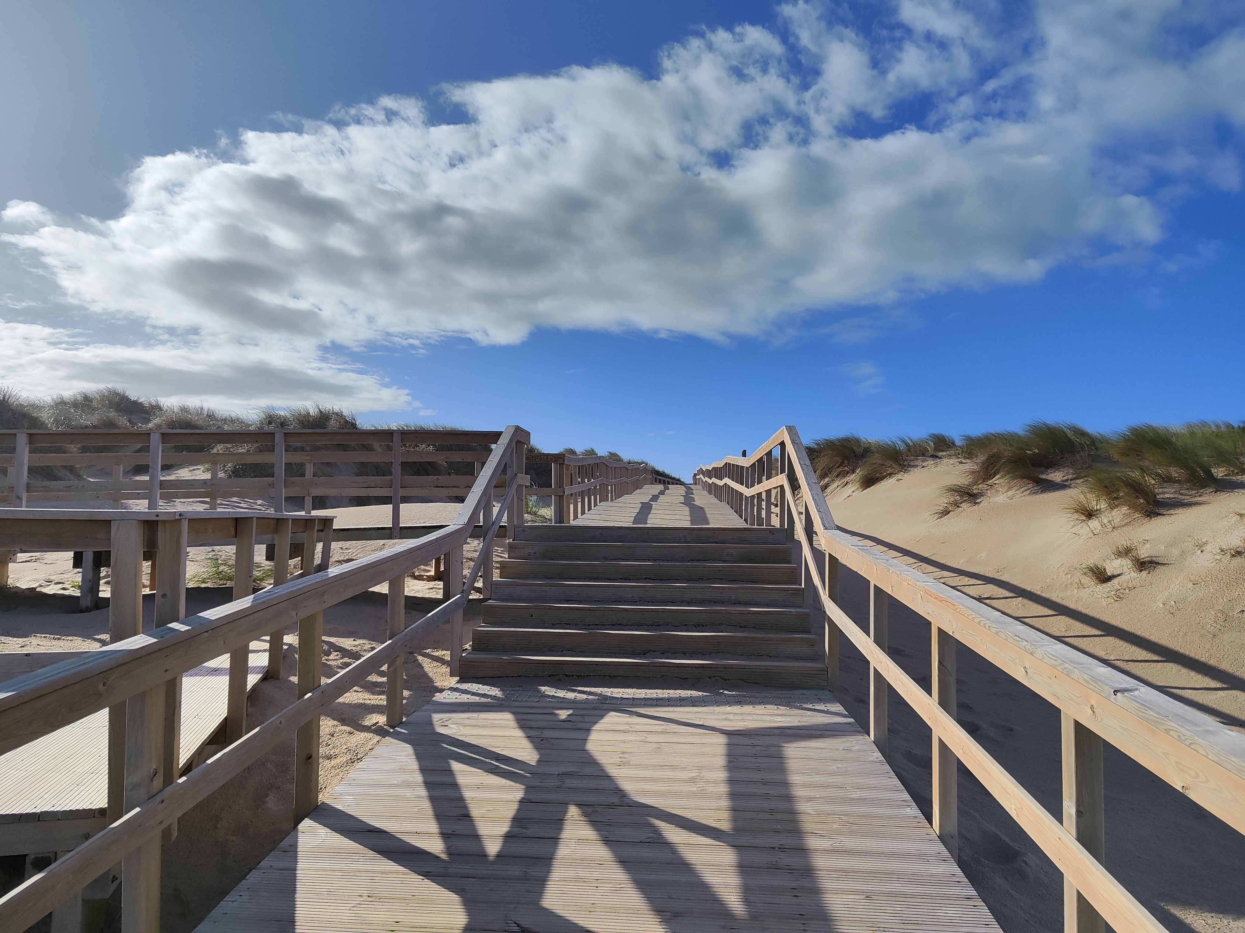 Wooden Boardwalk on Beach · Free Stock Photo