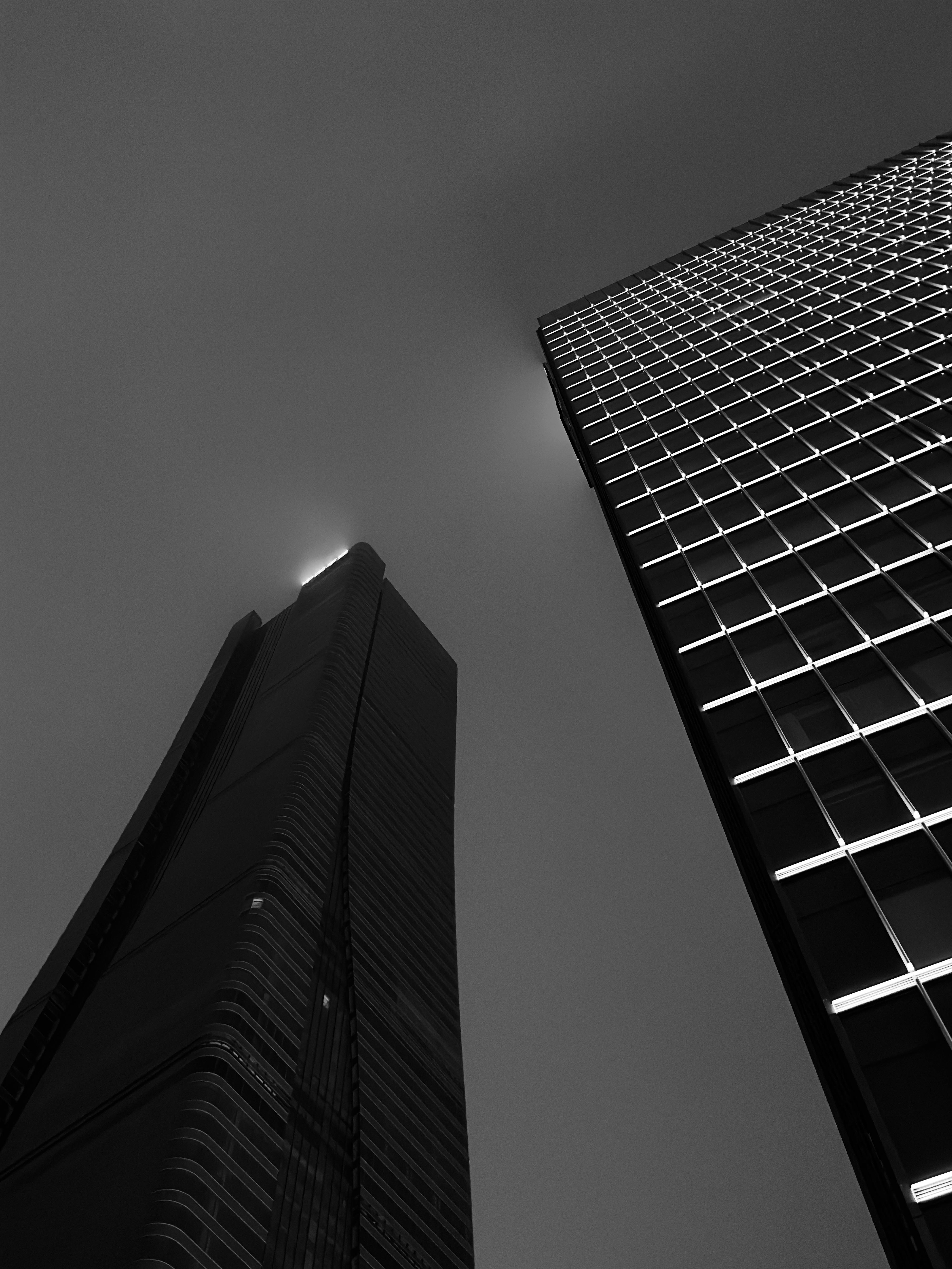 Skyscrapers in Black and White · Free Stock Photo