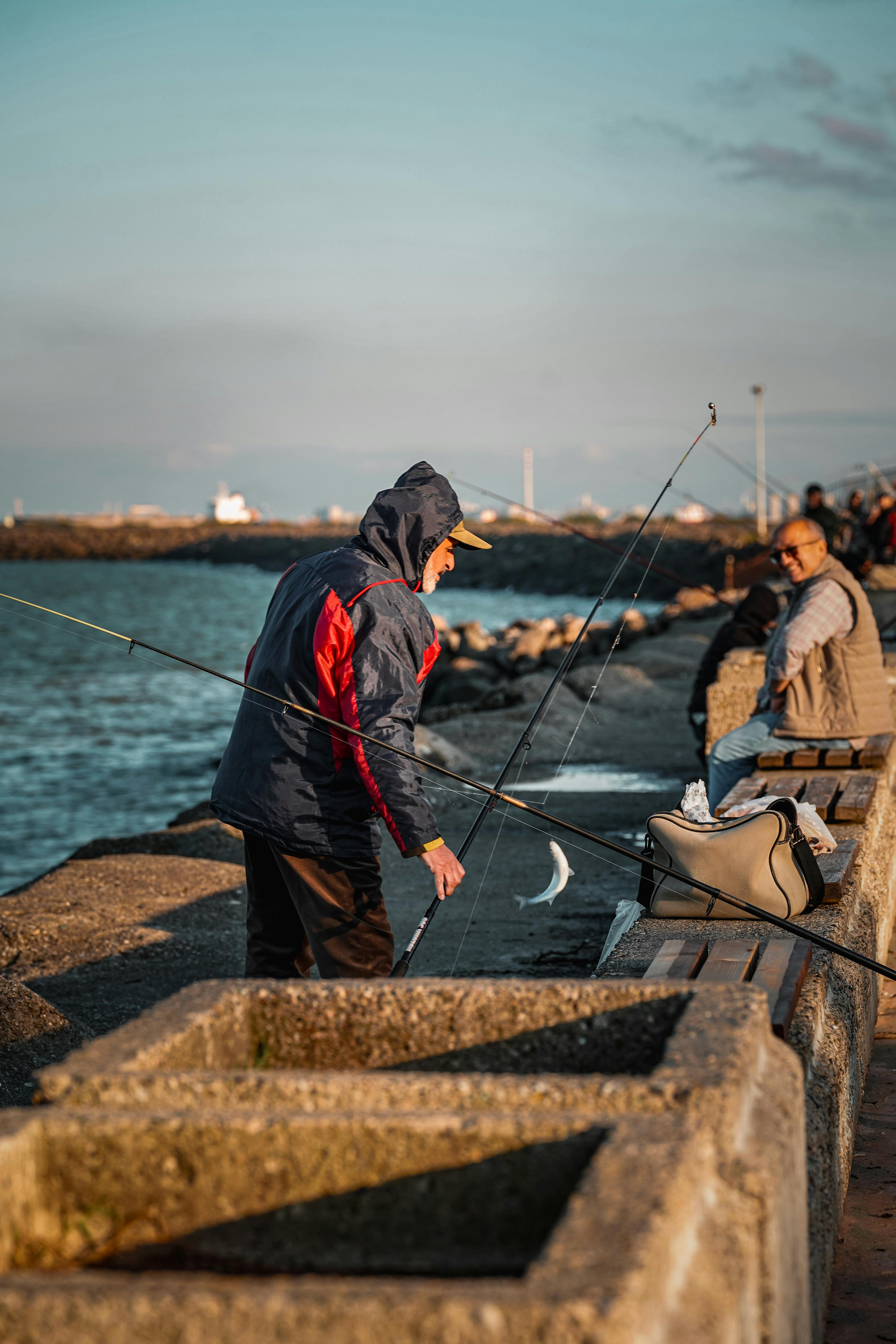 Angler in Bay · Free Stock Photo