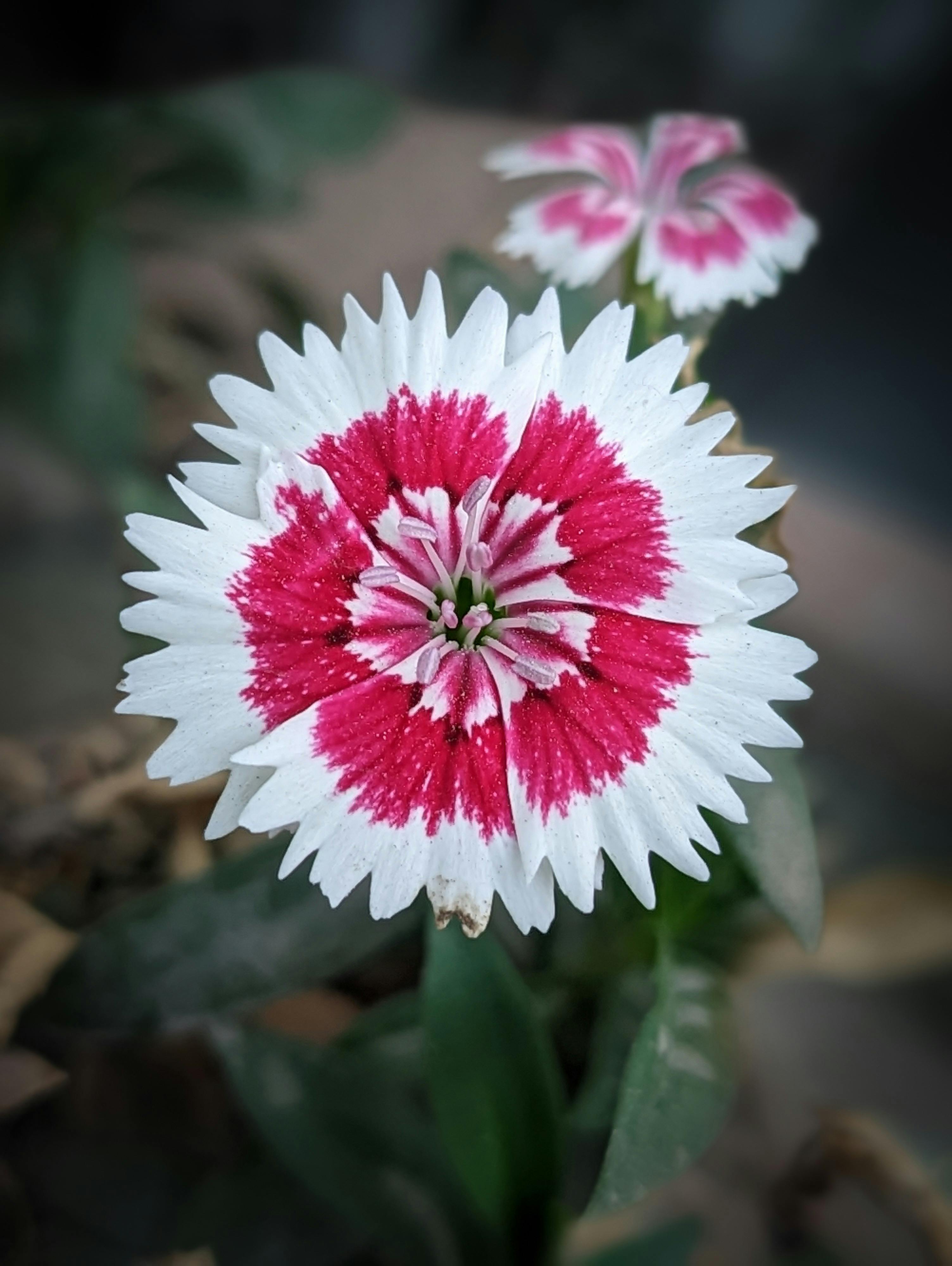 Bilal Akram - Photography