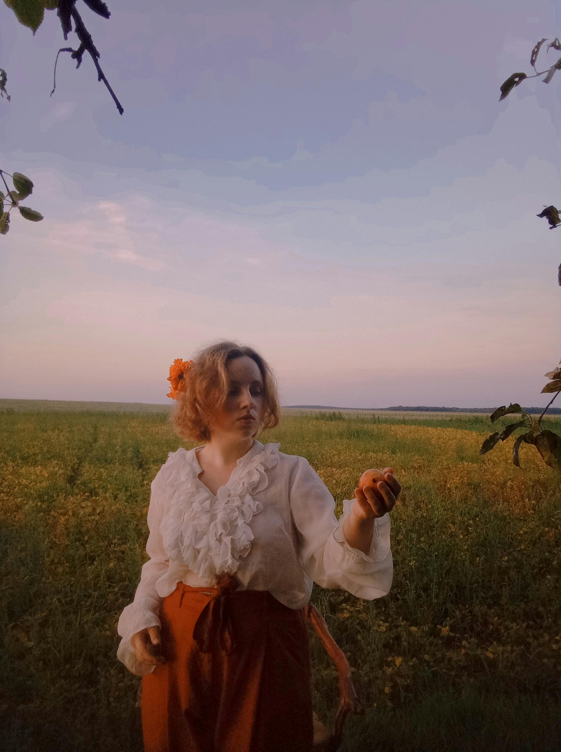 Freedom¨ Photos, Download The BEST Free Freedom¨ Stock Photos & HD Images