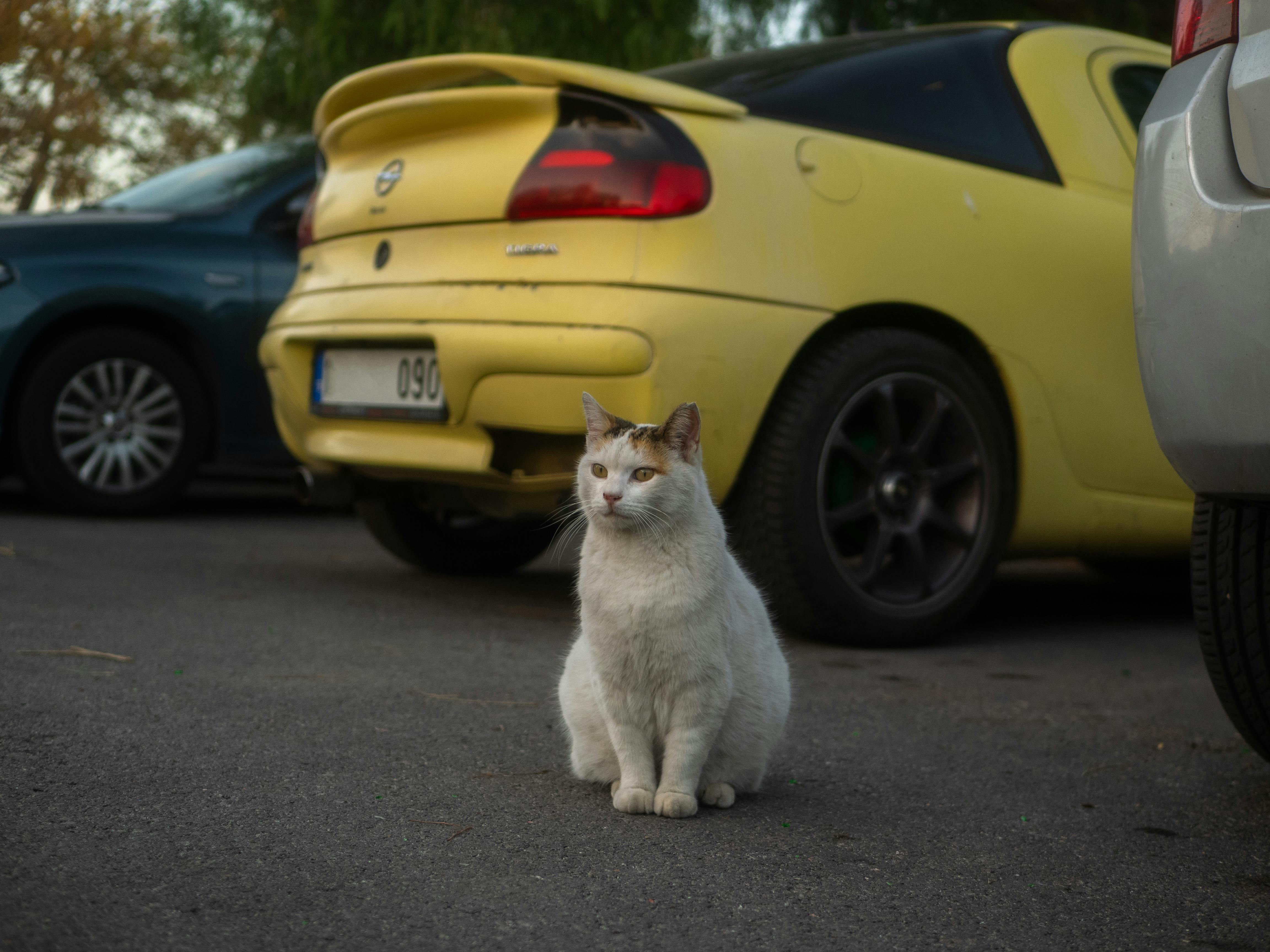 Mert Erim - Photography