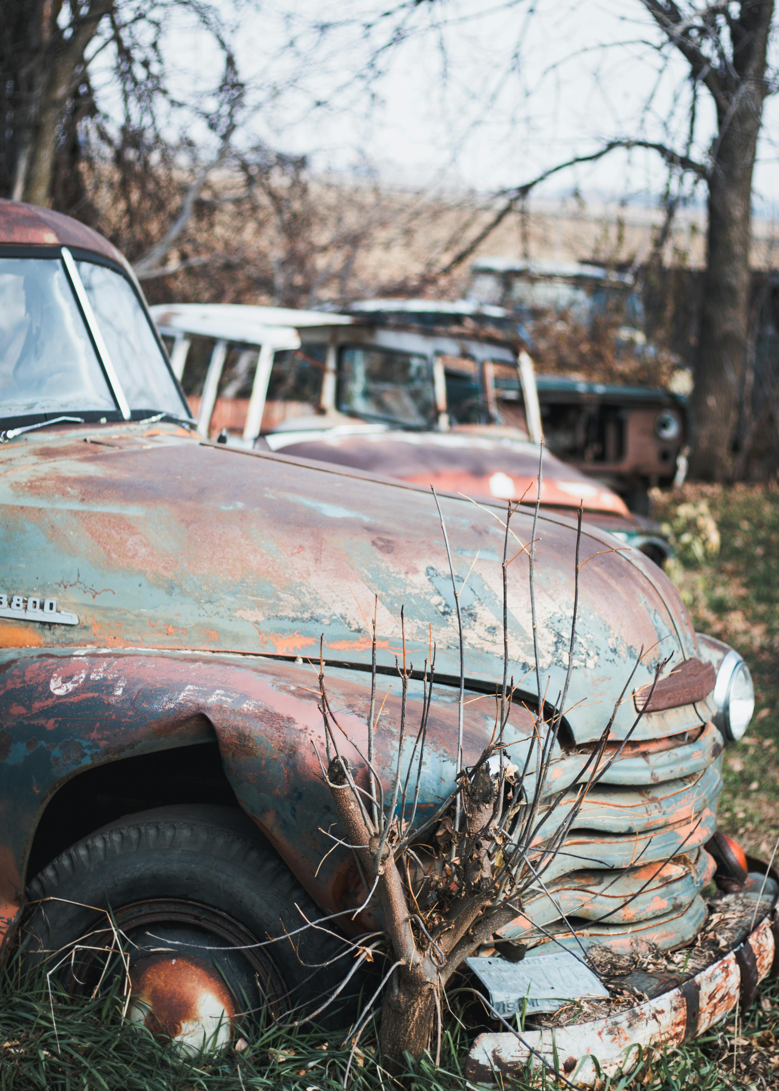 Broken Rusty Cars on a Field · Free Stock Photo
