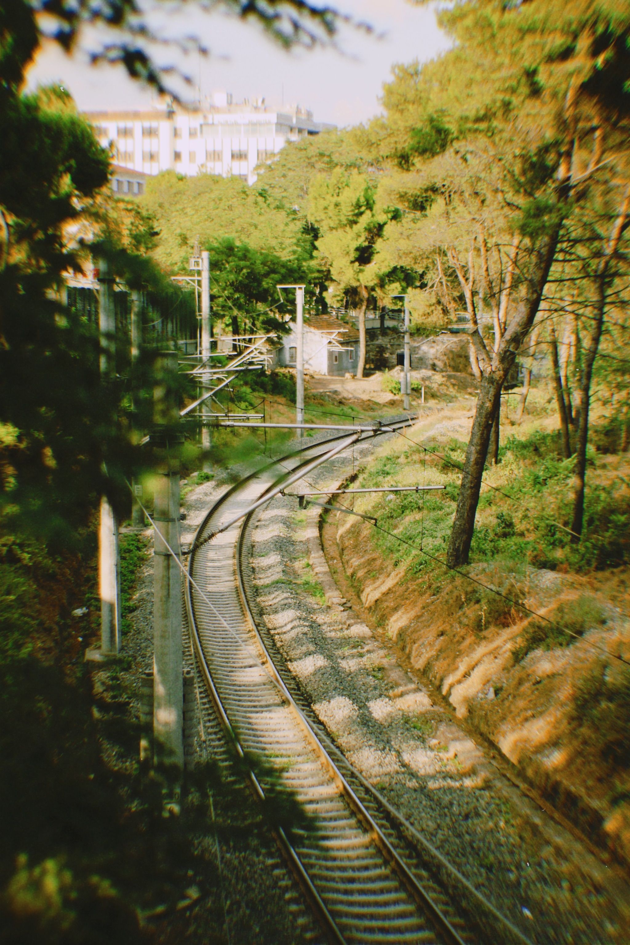View of the Railway between Trees · Free Stock Photo