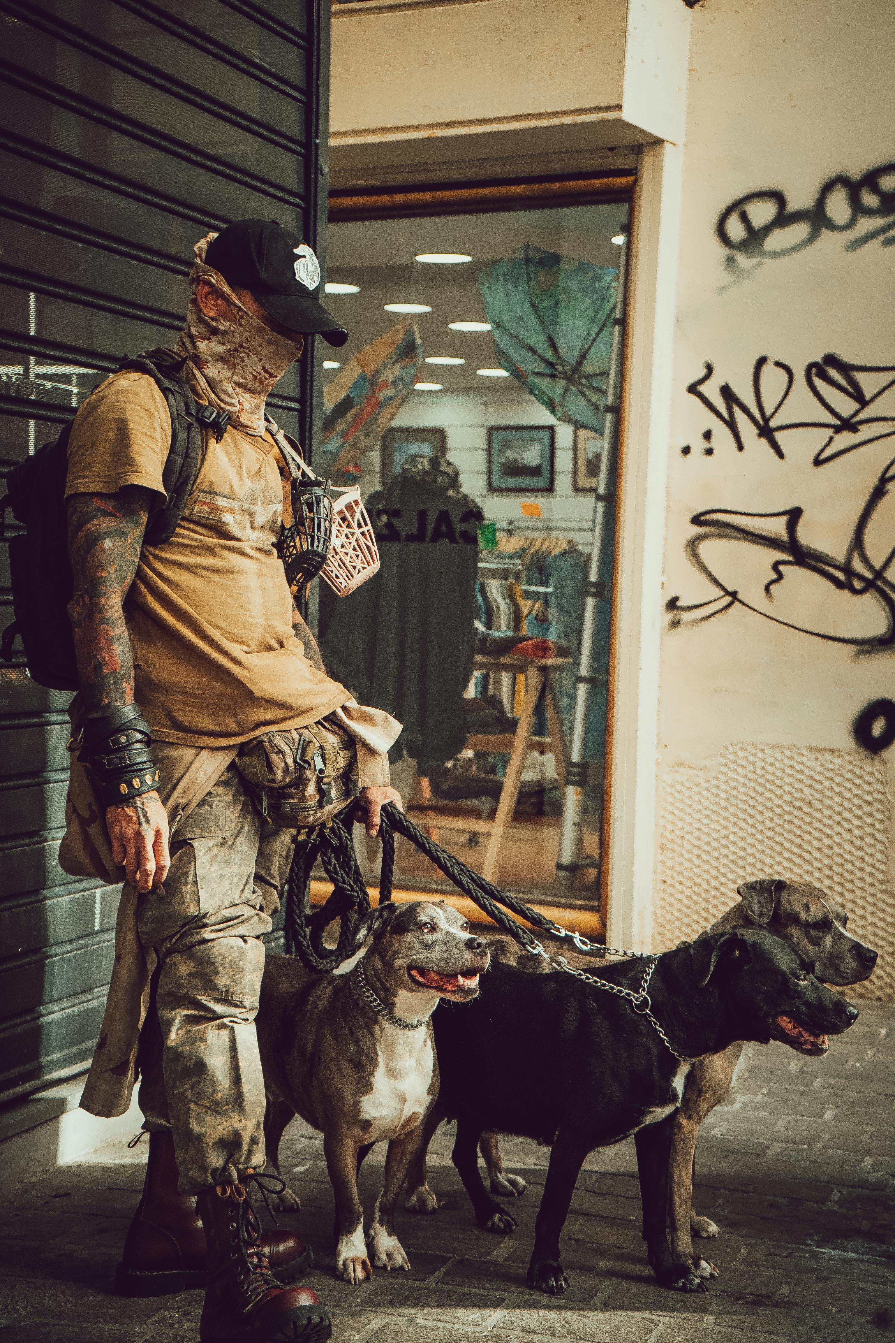 Dogs Going Crazy Photos, Download The BEST Free Dogs Going Crazy Stock ...