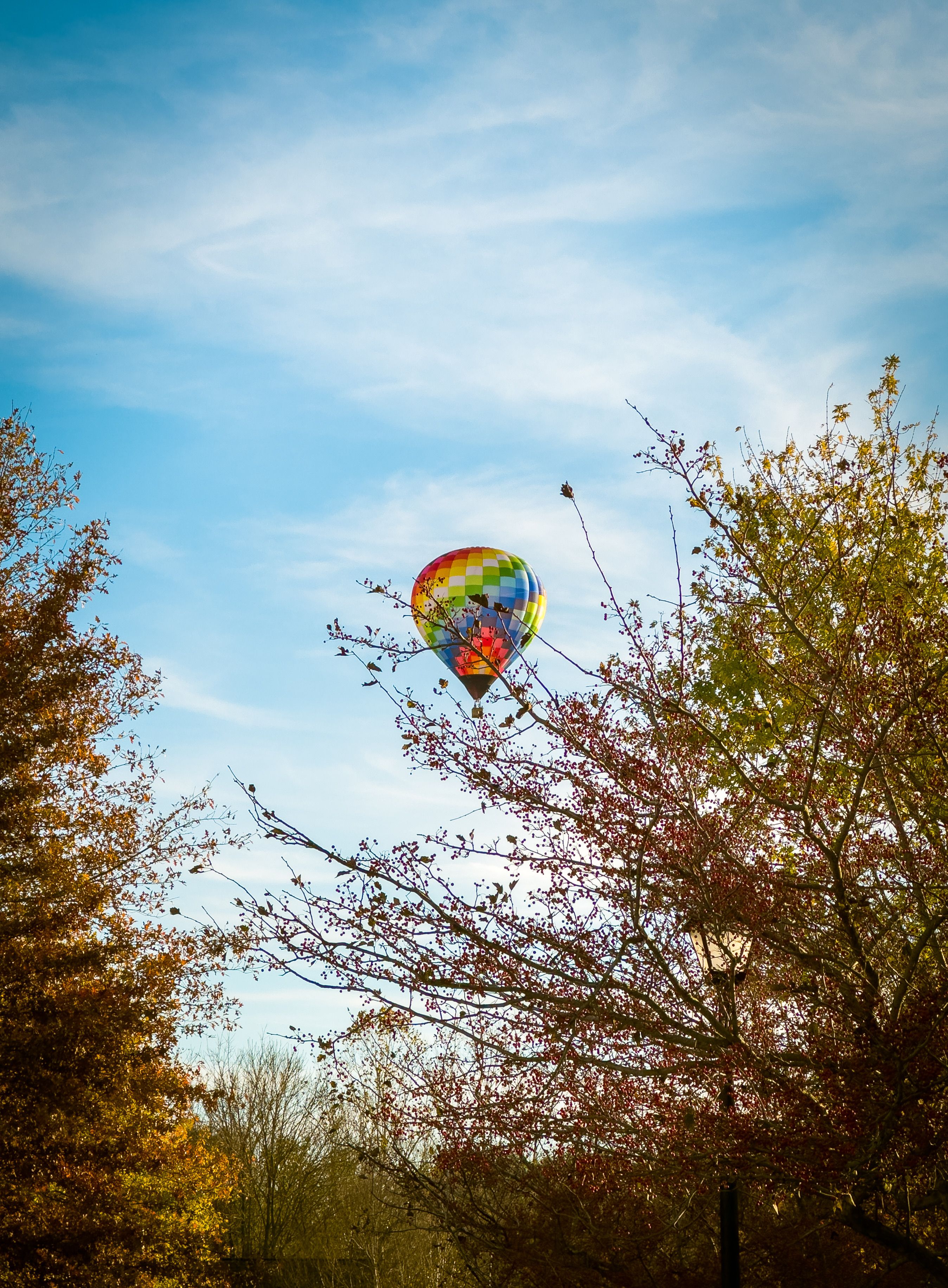 Hot Air Balloon Flying over Park · Free Stock Photo