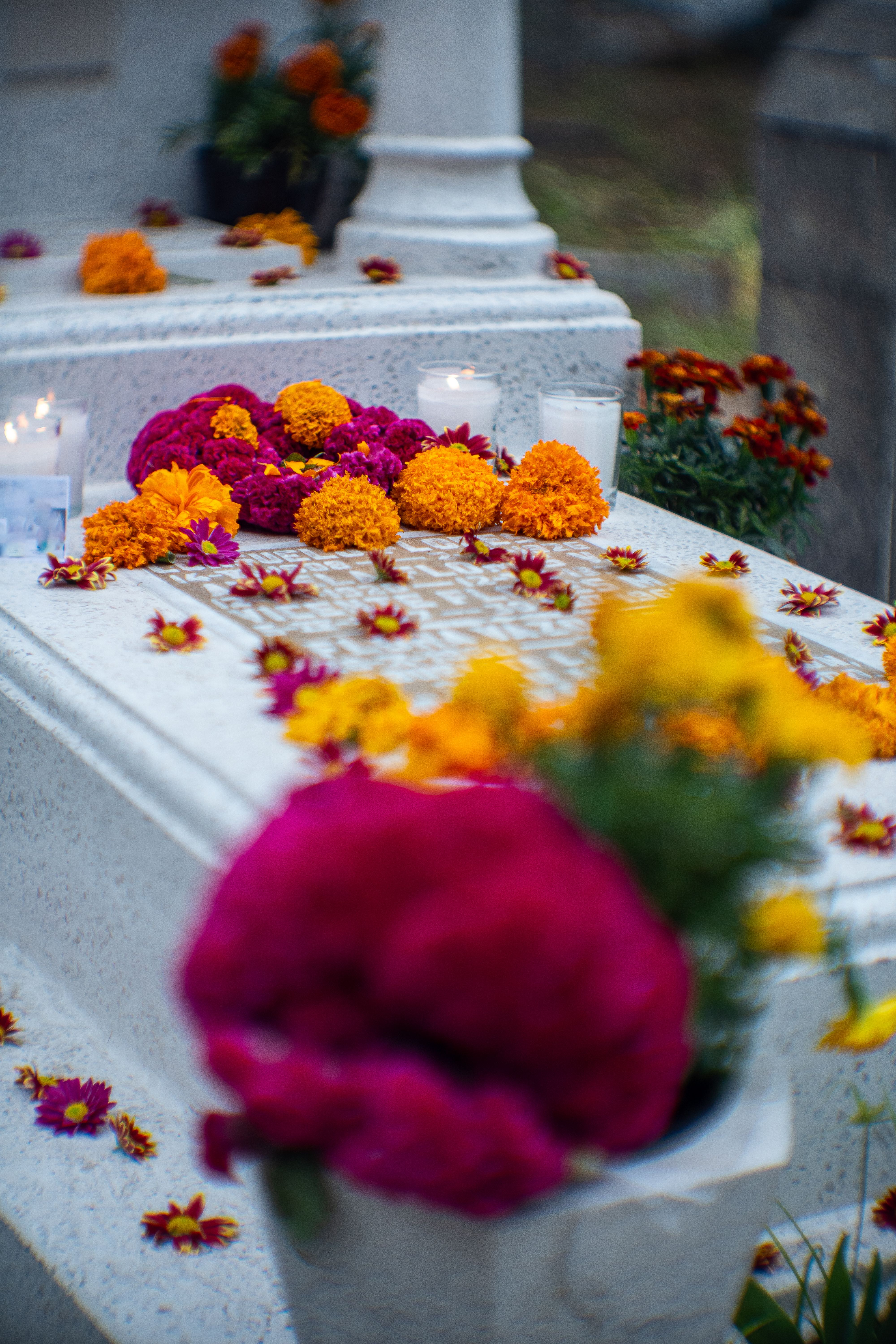 Foto de stock gratuita sobre al aire libre, arreglo floral, arte del ...