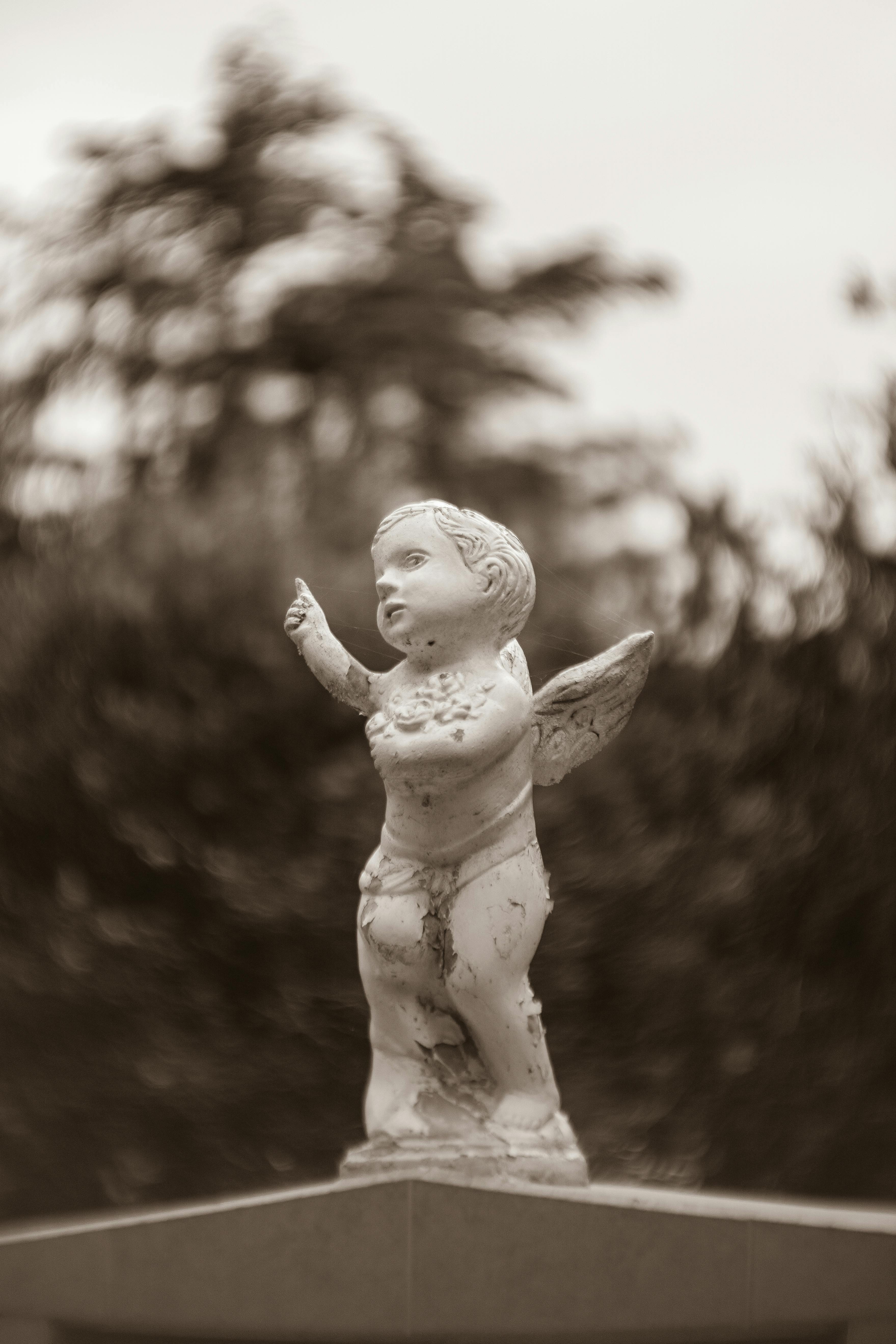 Demo Baby Photos, Download The BEST Free Demo Baby Stock Photos & HD Images