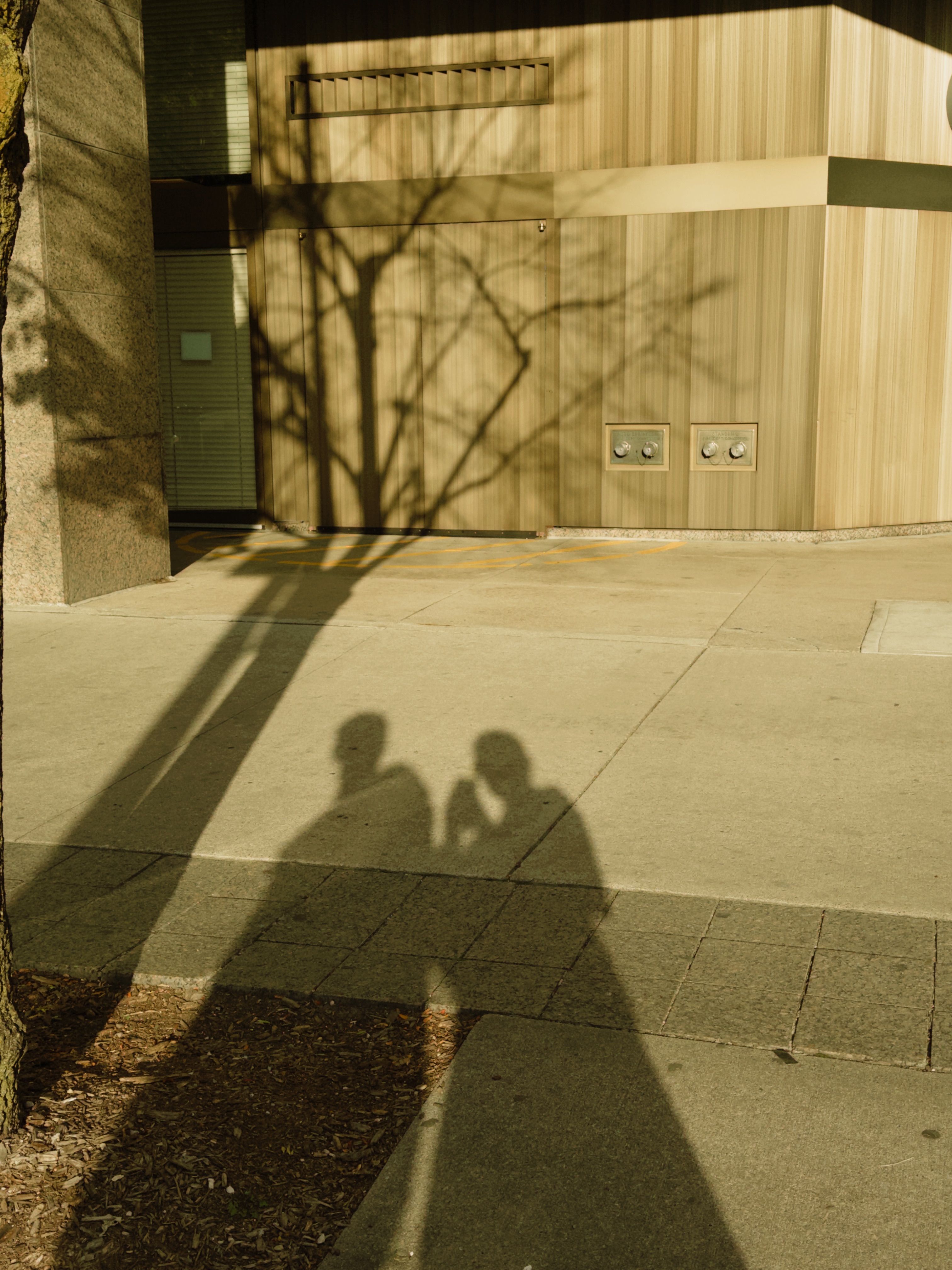 Shadow on Pavement · Free Stock Photo