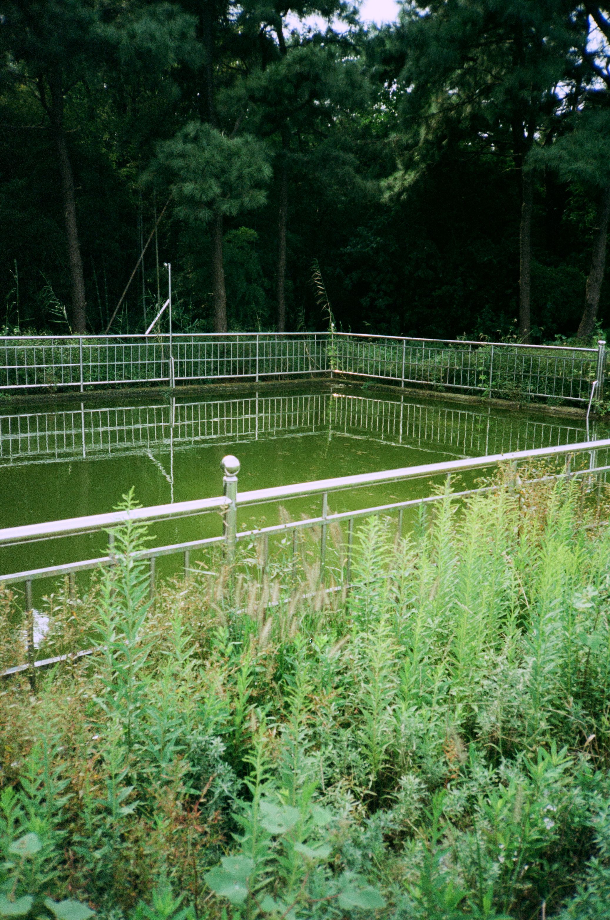 Fenced Pond Photos, Download The BEST Free Fenced Pond Stock Photos ...