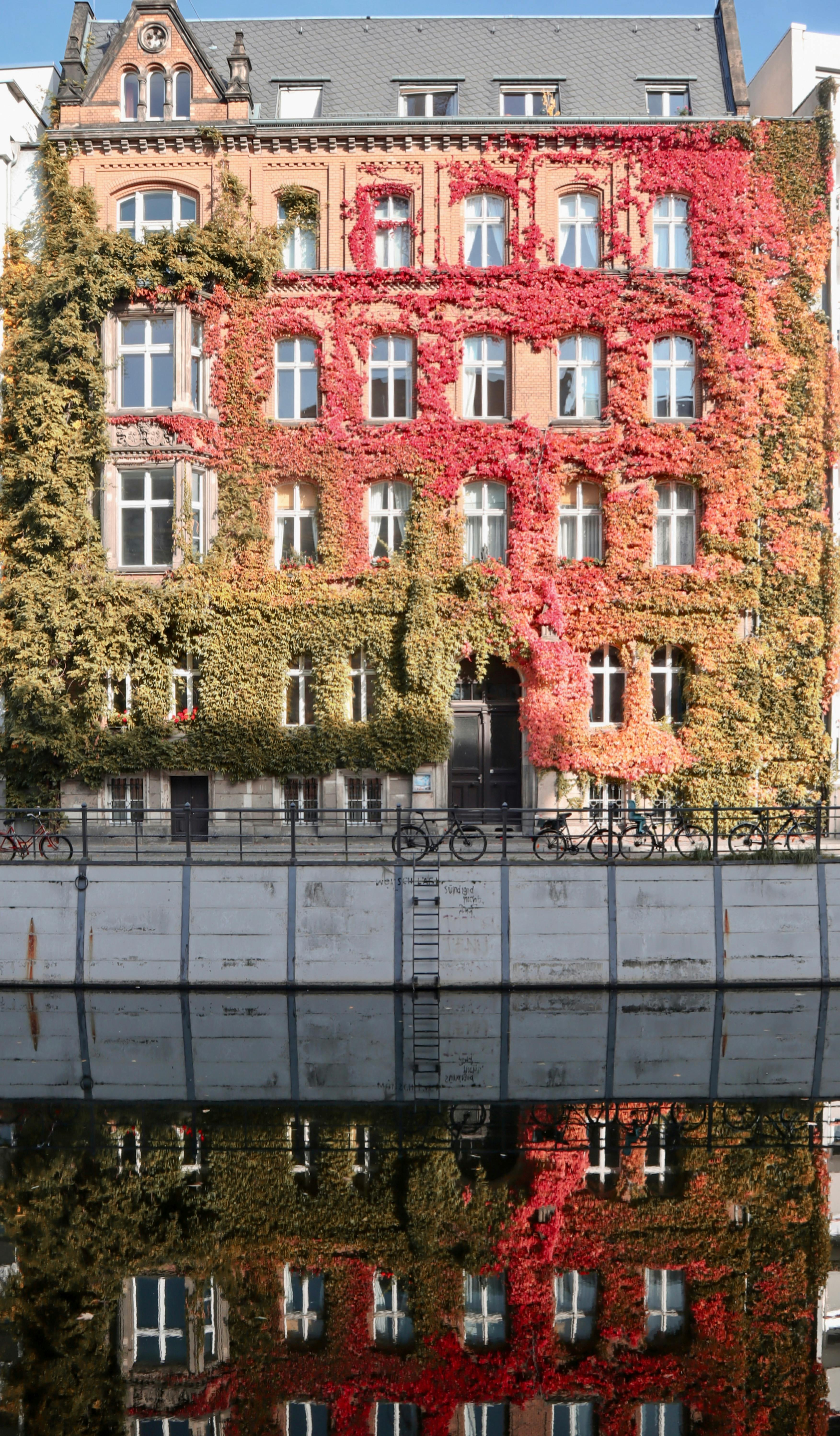 Overgrown Building and River · Free Stock Photo