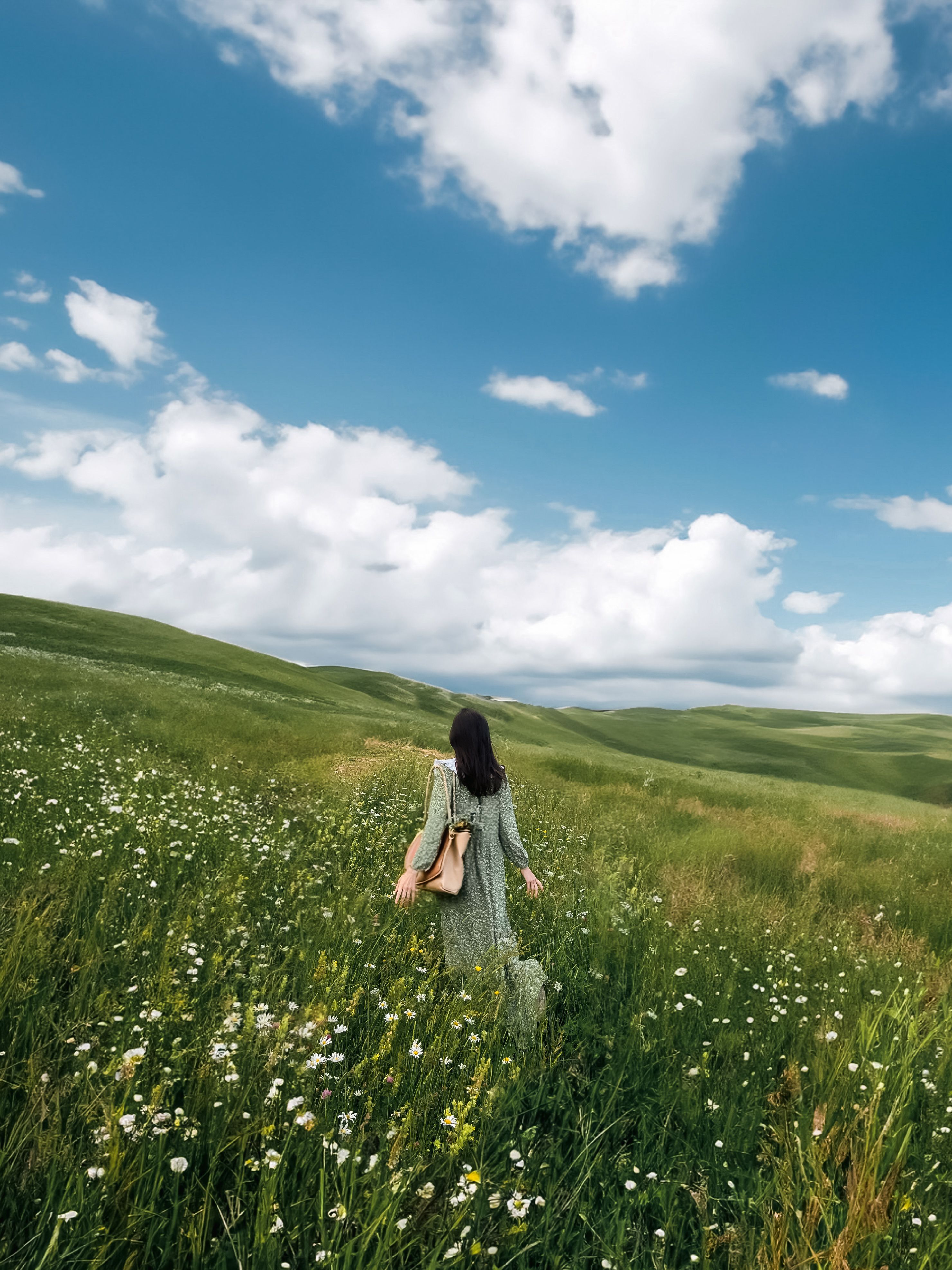 Woman Walking Through Blooming Meadow Under Blue Sky · Free Stock Photo
