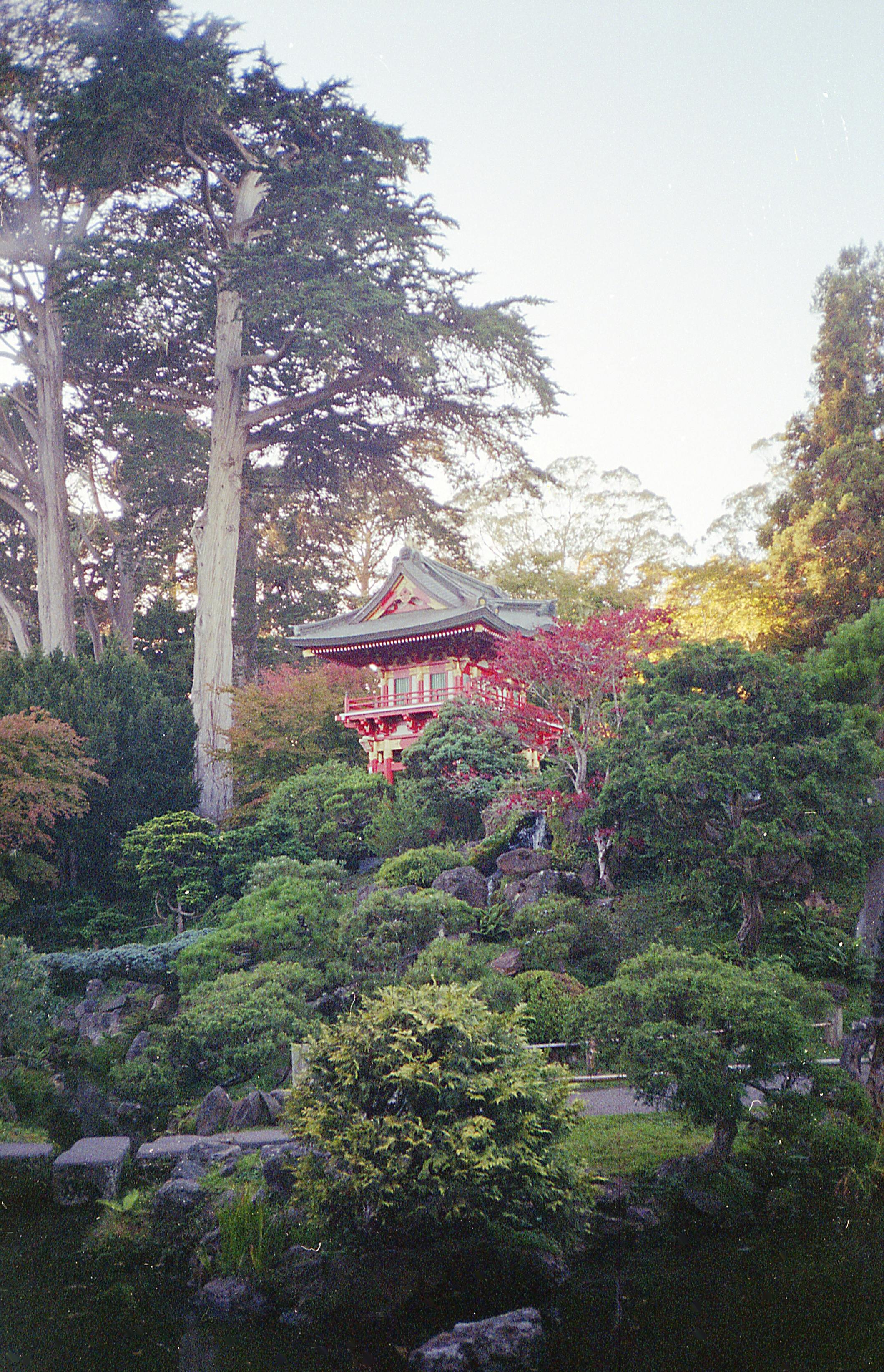 San Fran Photos, Download The BEST Free San Fran Stock Photos & HD Images