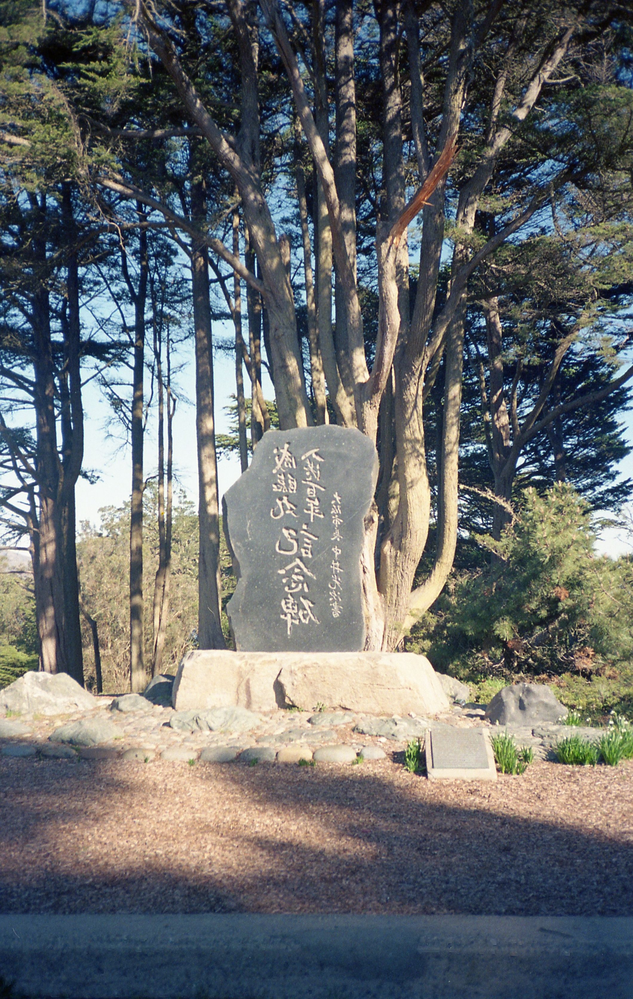 Stone and Tree · Free Stock Photo