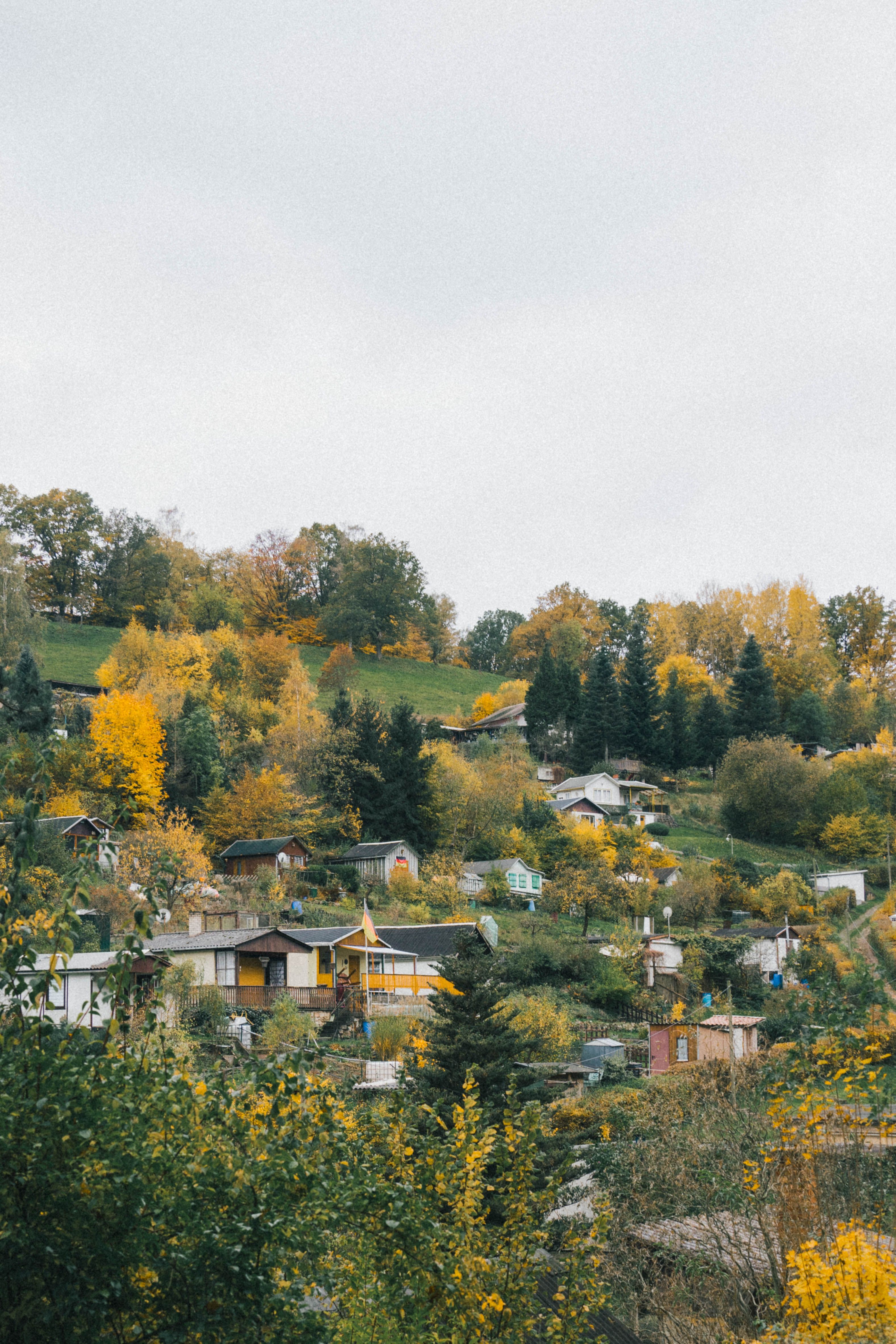 Trees around Buildings in Village on Hill in Autumn · Free Stock Photo
