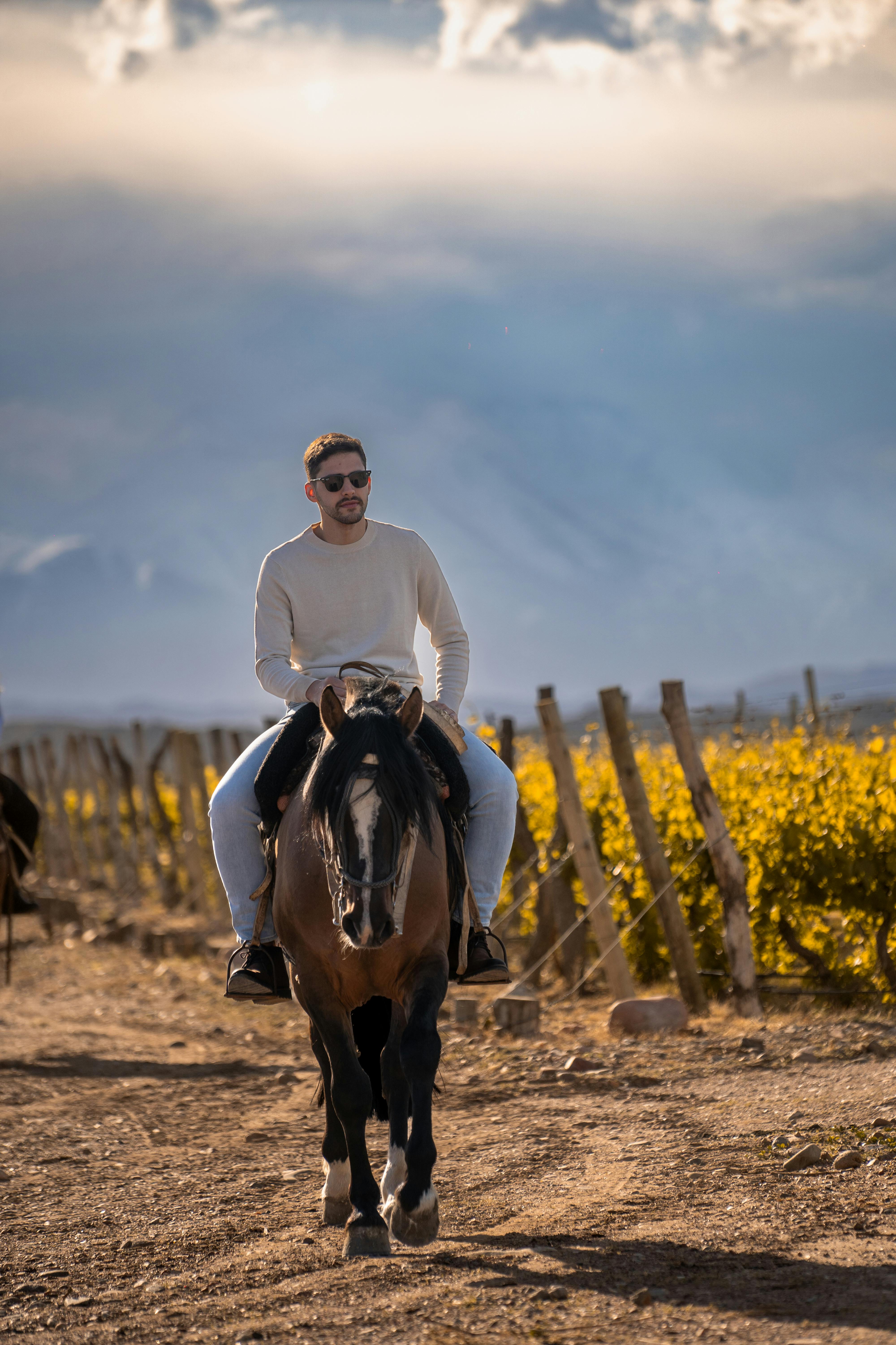 Man Riding a Horse · Free Stock Photo