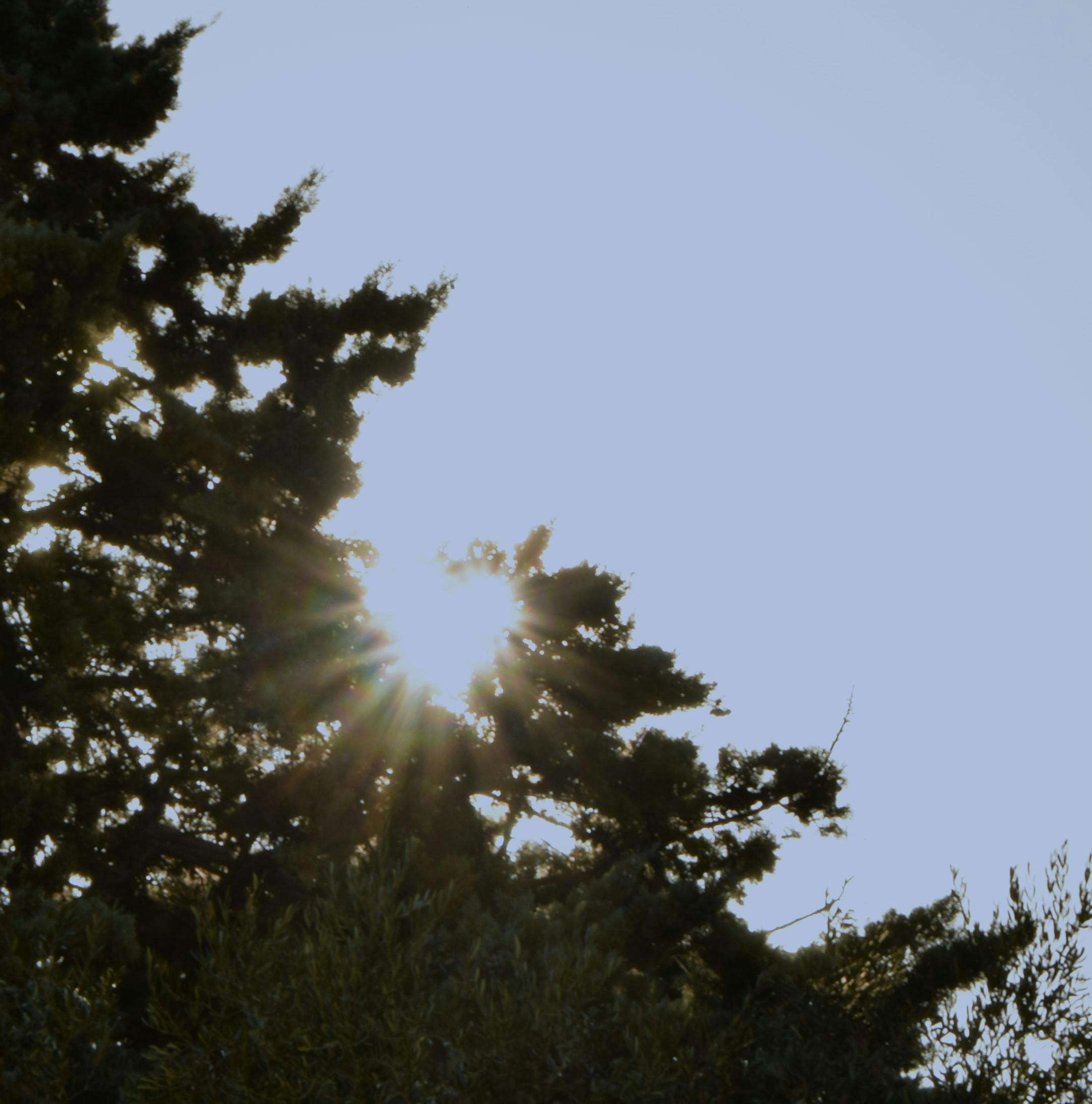 Isabelle Borg - Photography