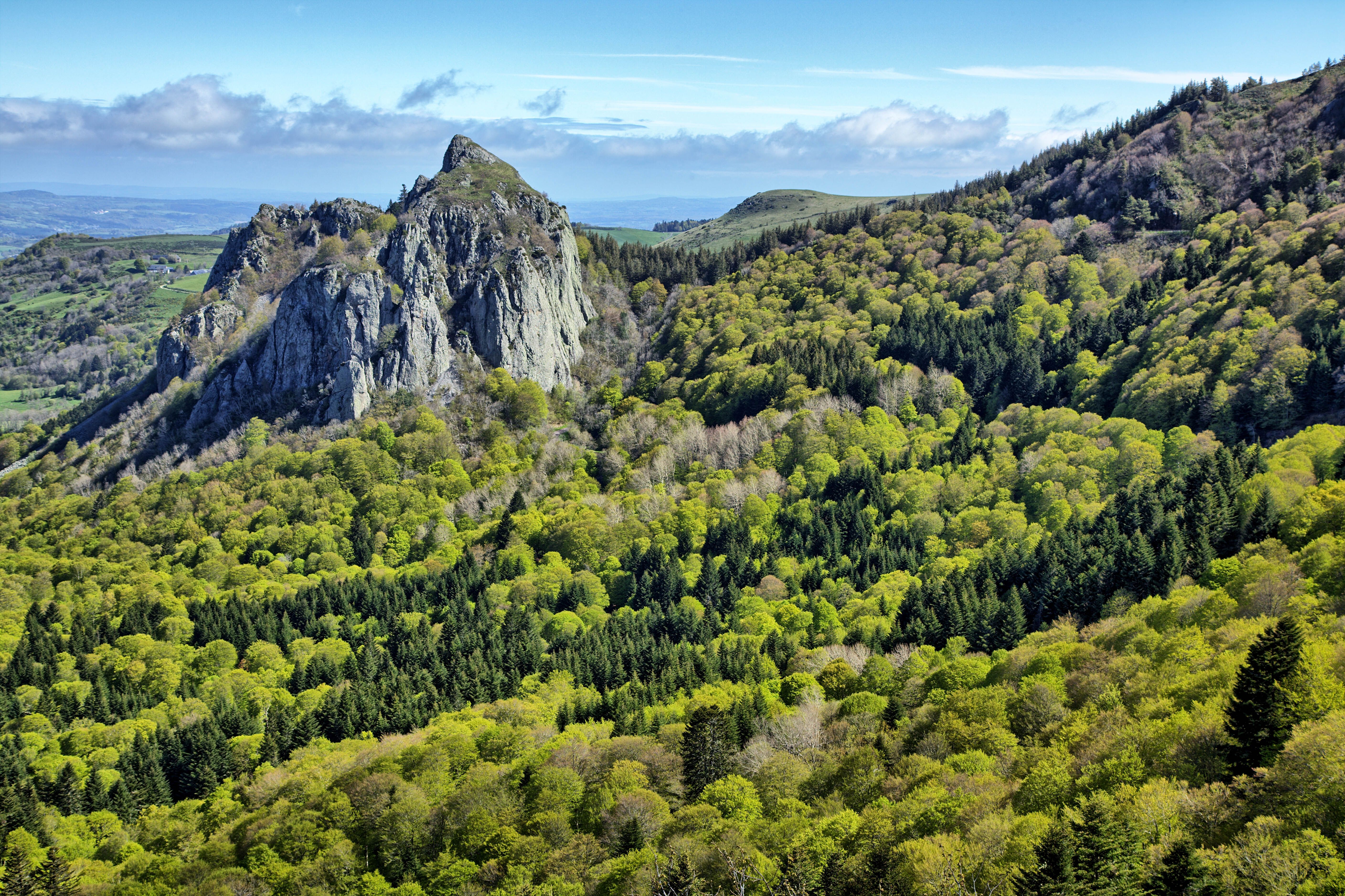 A mountain with trees and green grass · Free Stock Photo