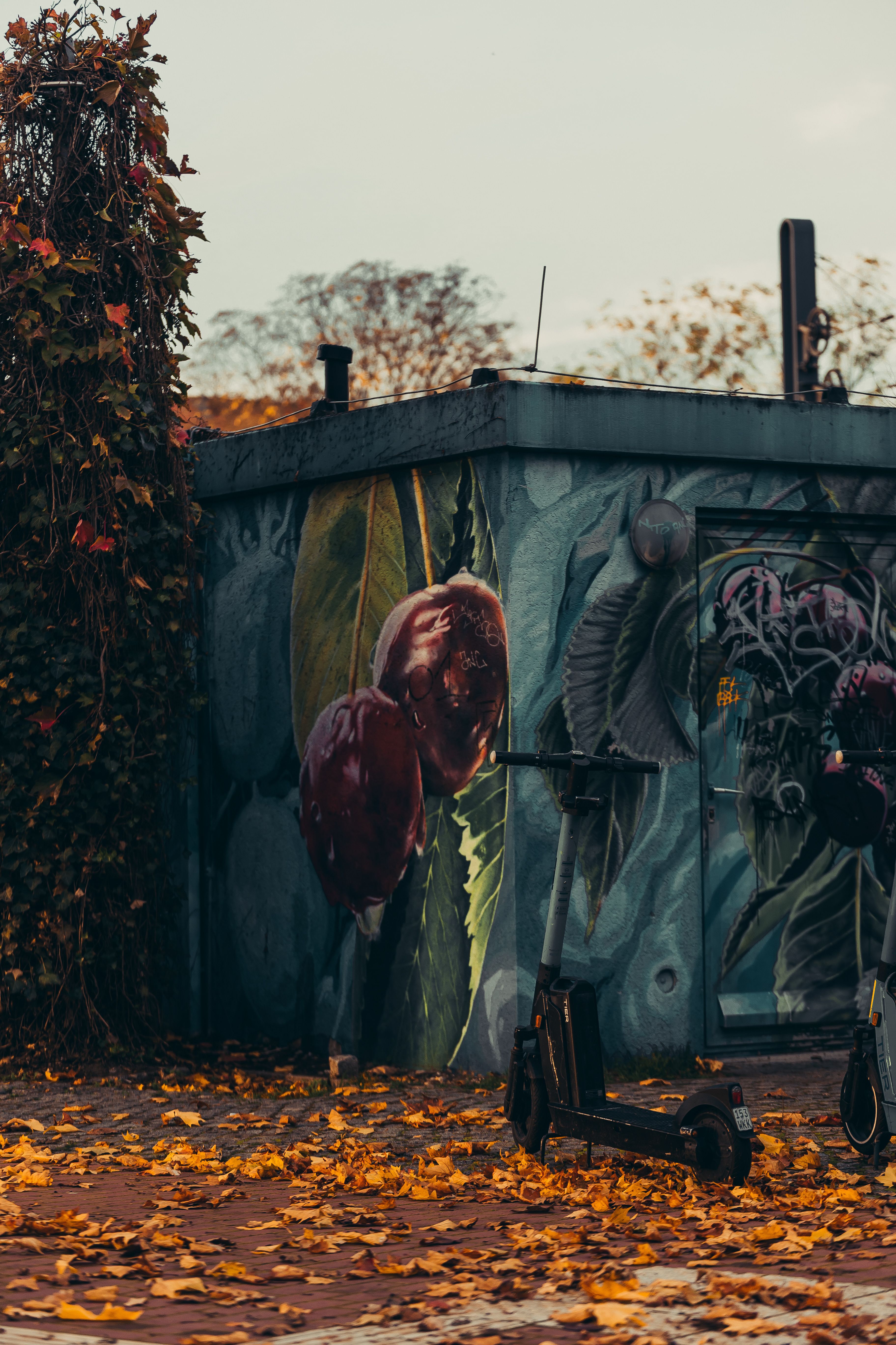 Graffiti of Homer Simpson on Door · Free Stock Photo