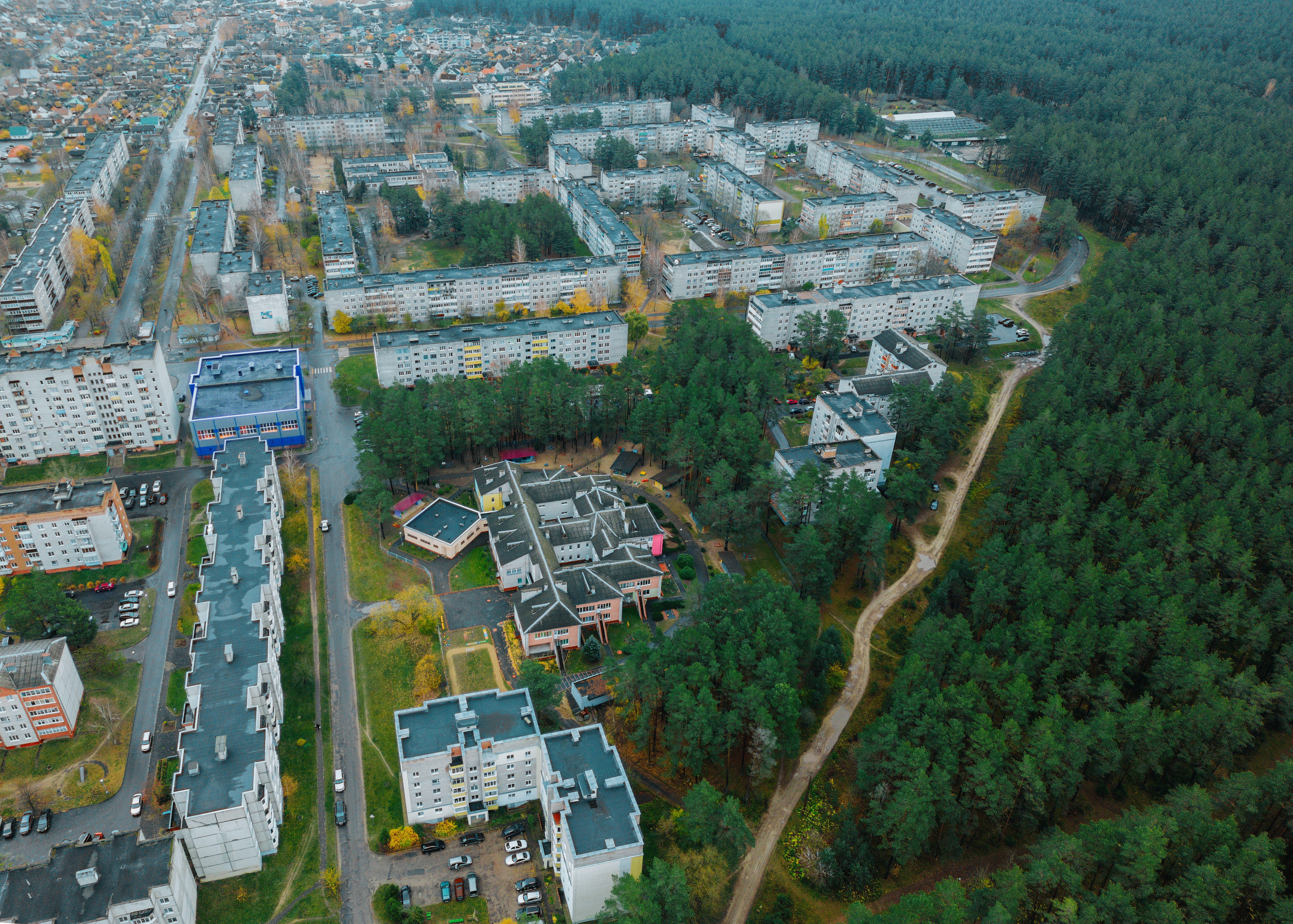 Forest And Buildings Photos, Download The BEST Free Forest And ...
