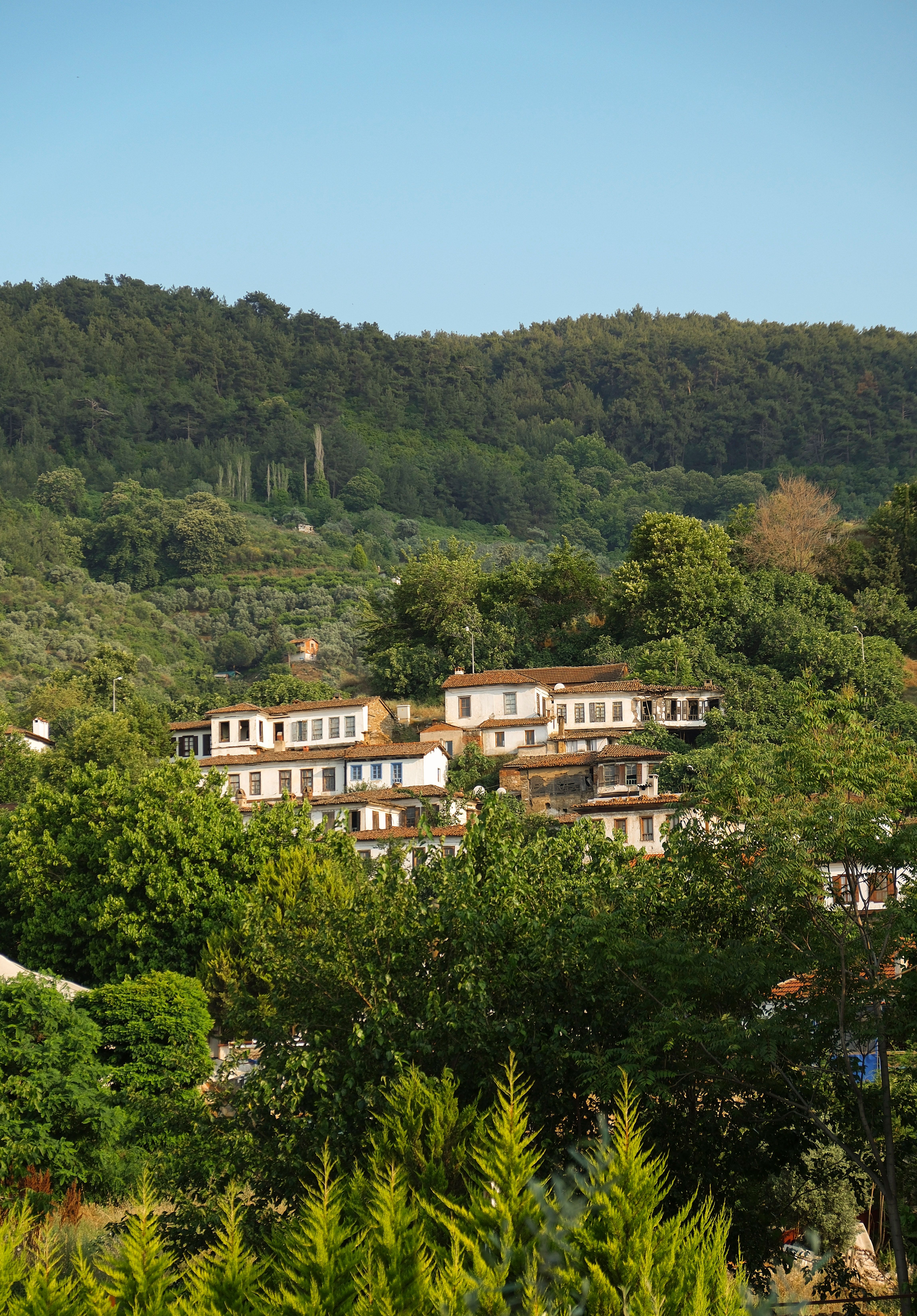A view of a village surrounded by trees and hills · Free Stock Photo